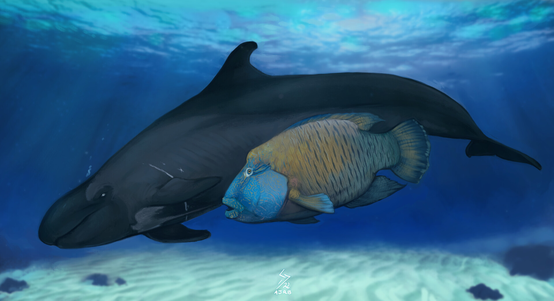 Alex Barley - Meeting