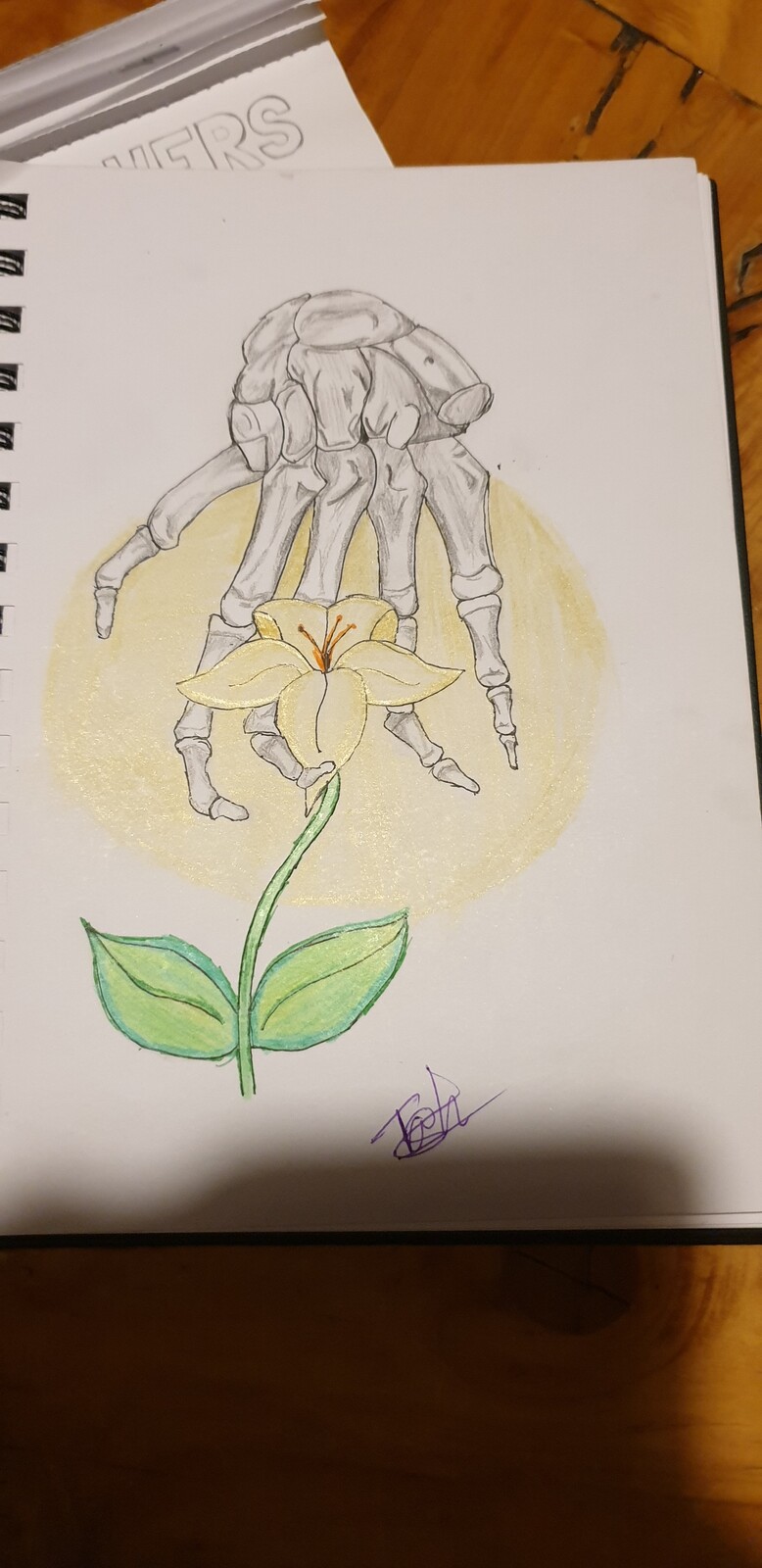 Tash - flower of life