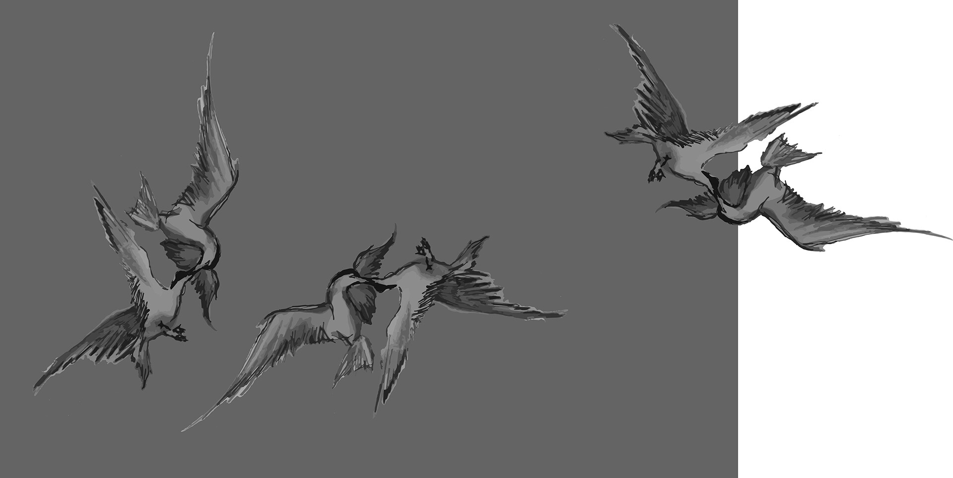 ArtStation - Albatross