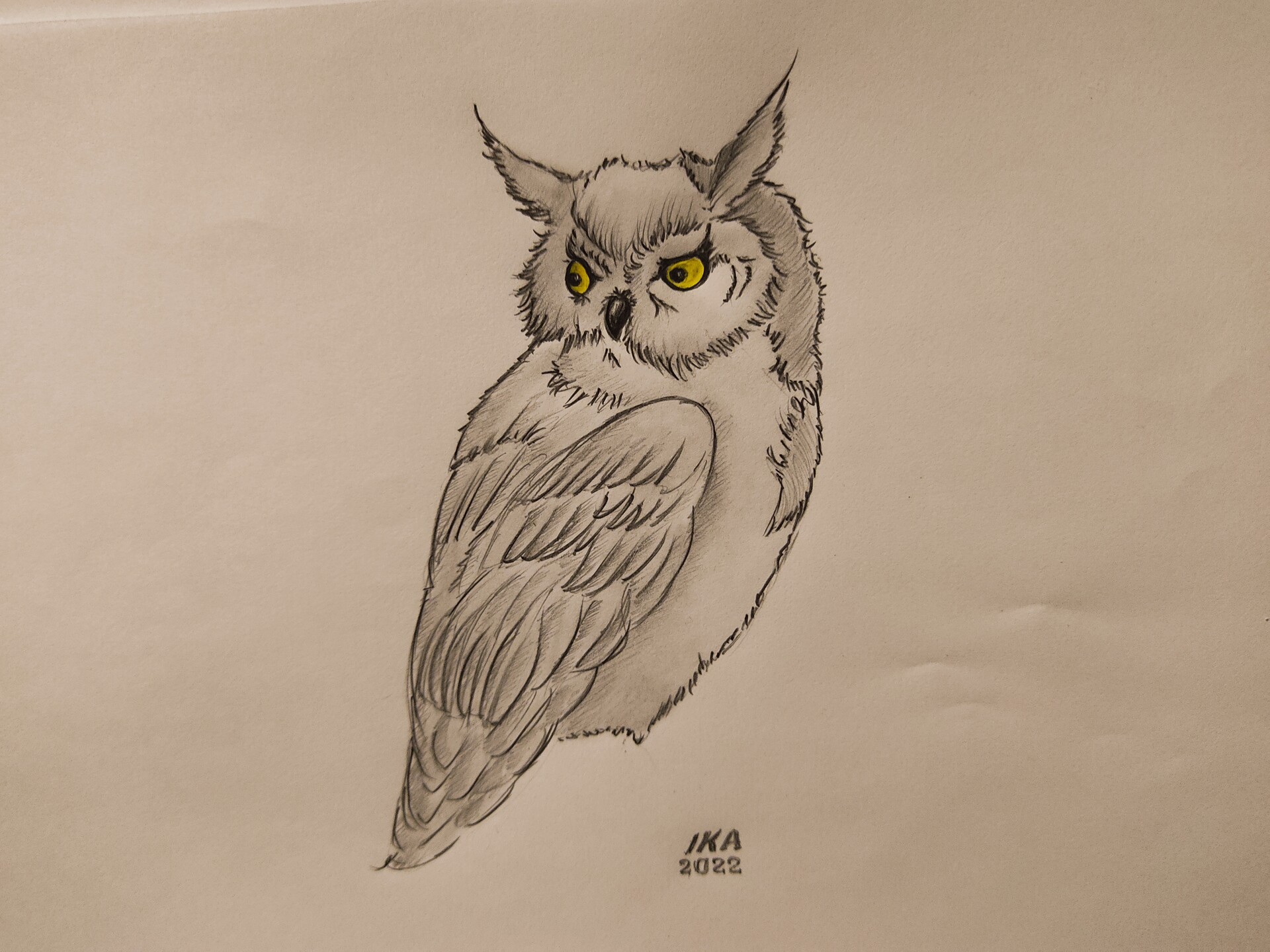 ArtStation - owl