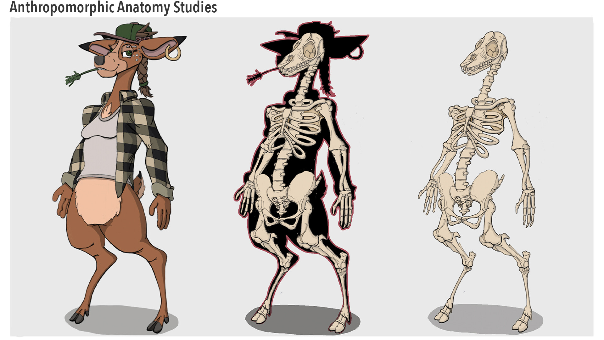 ArtStation - Anthropomorphic Anatomy Studies ArtStation - Anthropomorphic Anatomy Studies