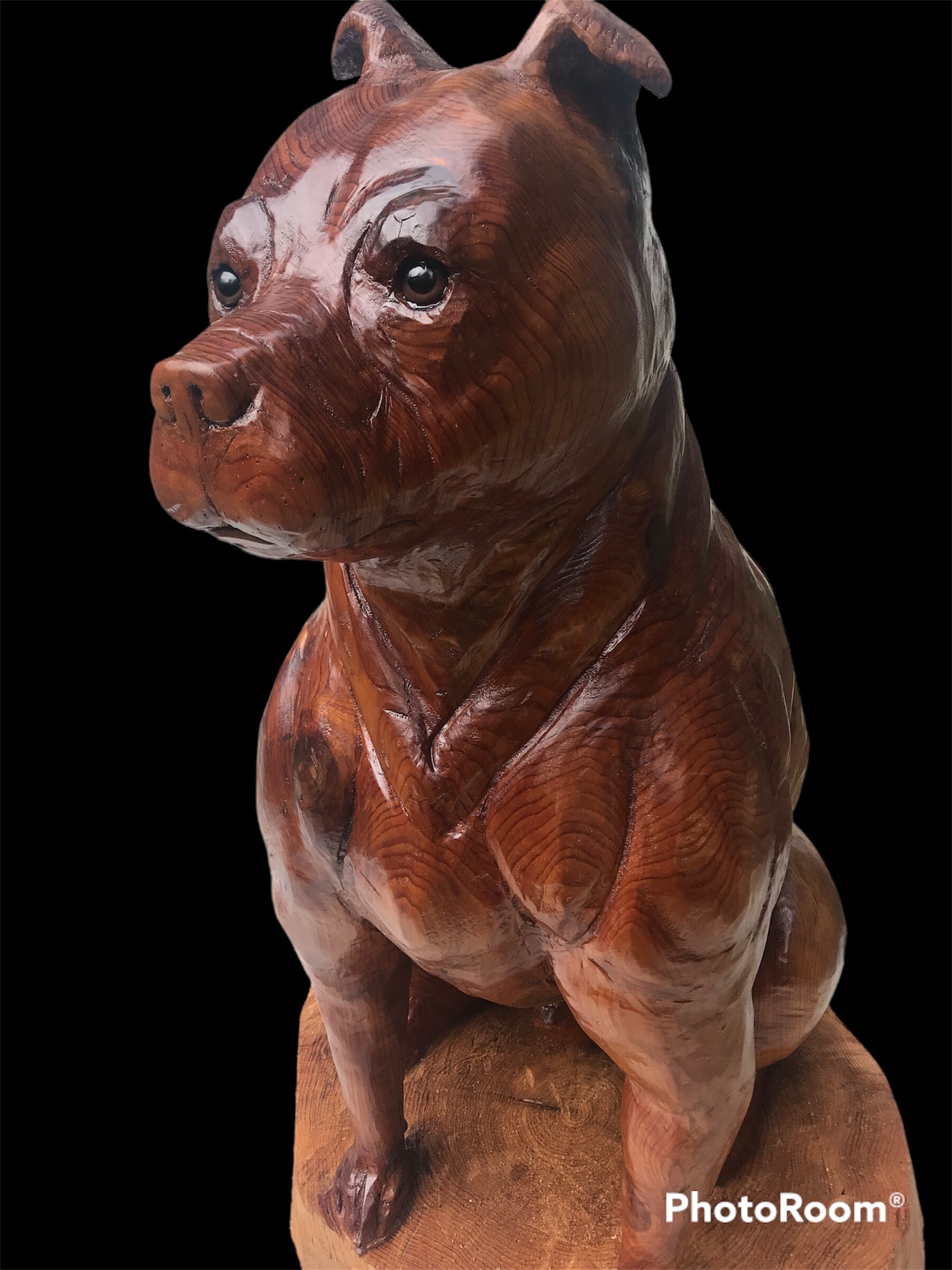 ArtStation - Pitty