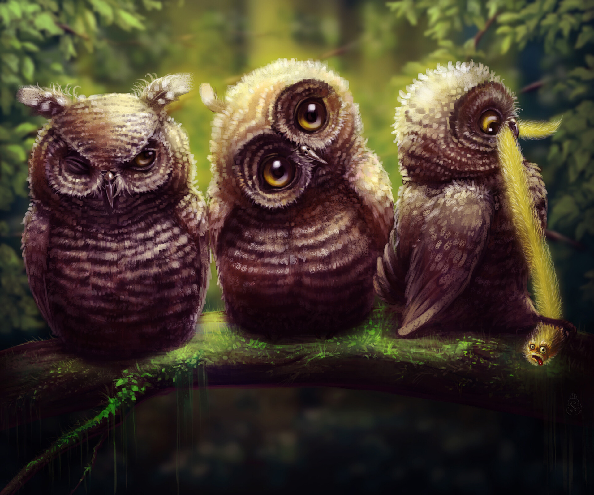 ArtStation - Owls