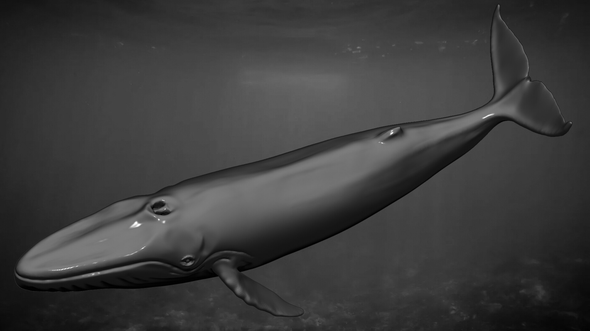 ArtStation - Blue Whale