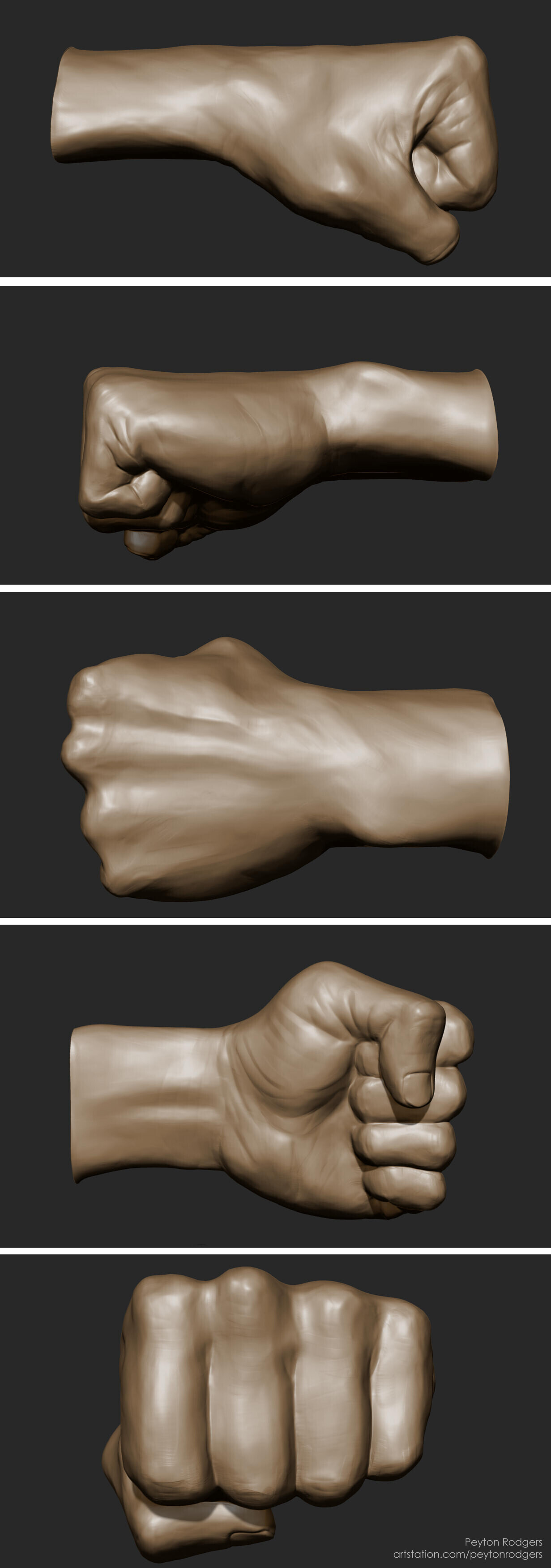 Peyton Rodgers - 3D Sculpt Studies