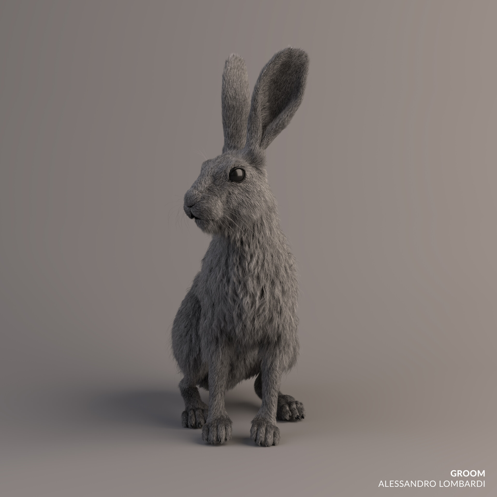 ArtStation - Hare - Groom
