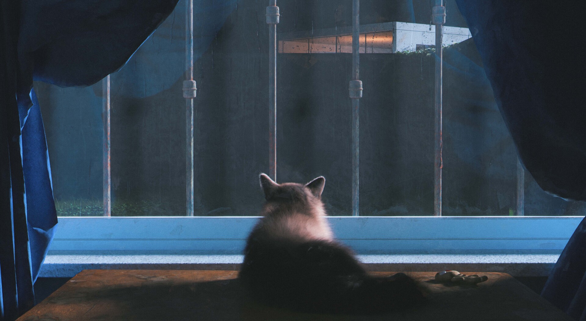 ArtStation - A Cat At Night