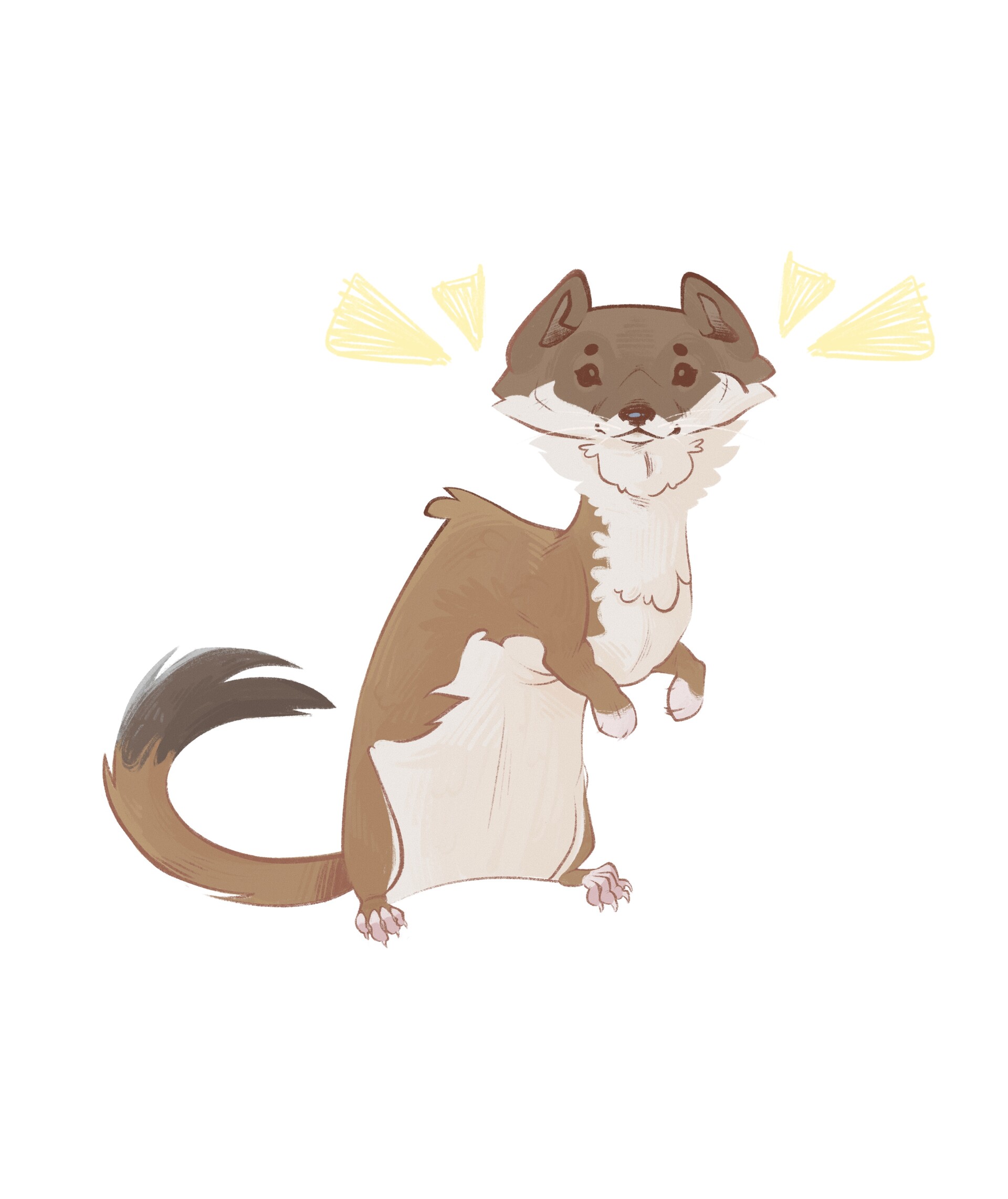 ArtStation - Ferret