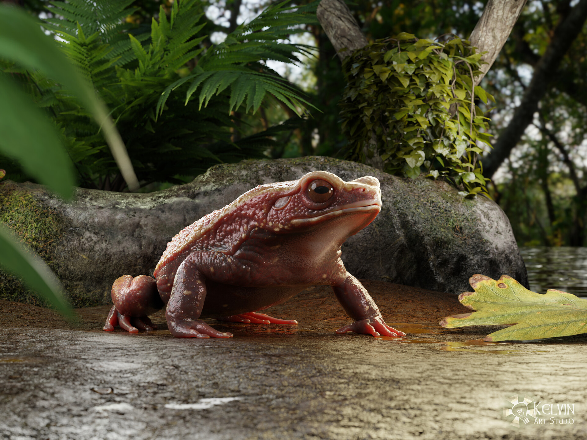 ArtStation - Amazonian Frog - Rhaebo guttatus - Sapo amazônico