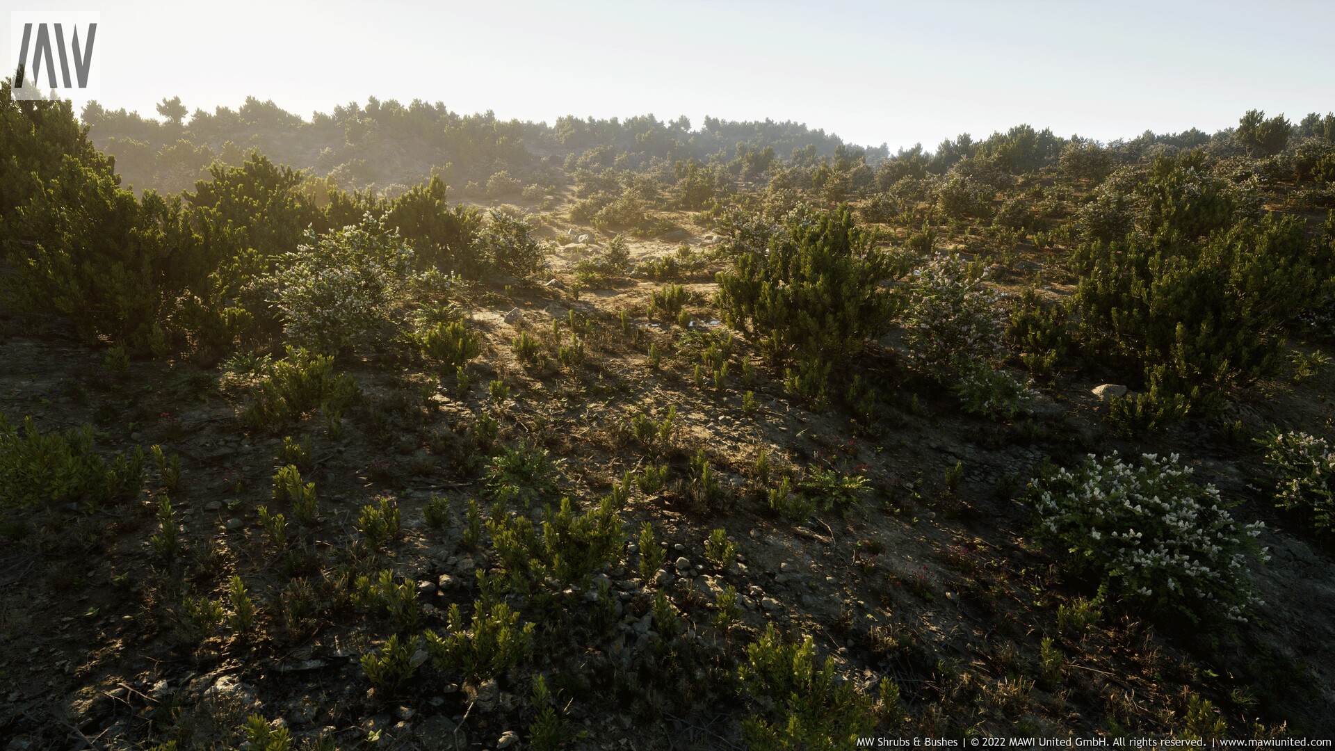 MAWI United - Shrubs & Bushes | Unreal Engine 5 | Cinematic