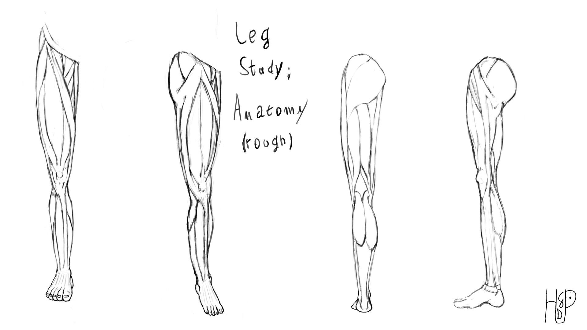 ArtStation - Anatomy Studies: Rough Anatomy of Legs