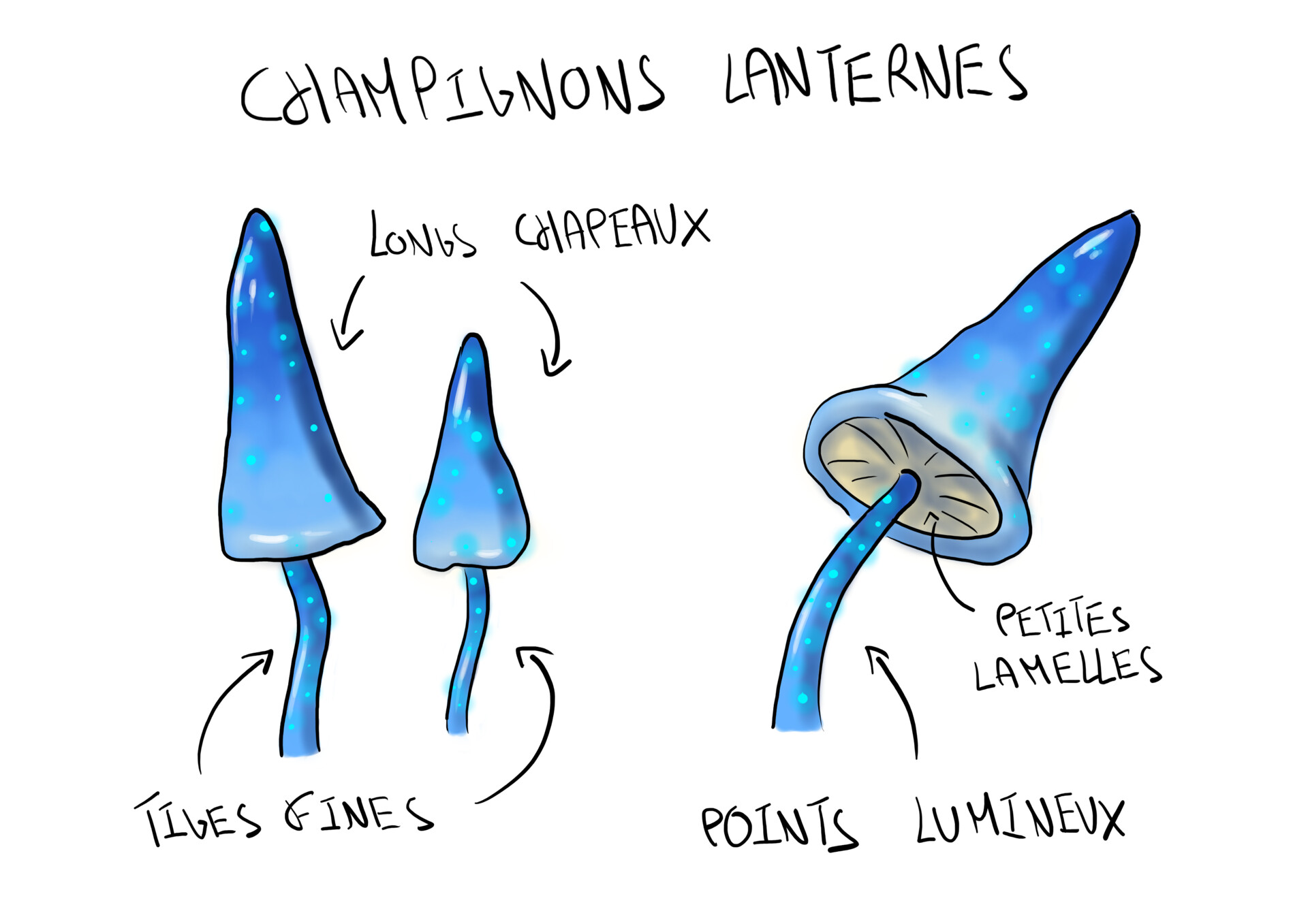 ArtStation - Concept Art Lantern Mushrooms