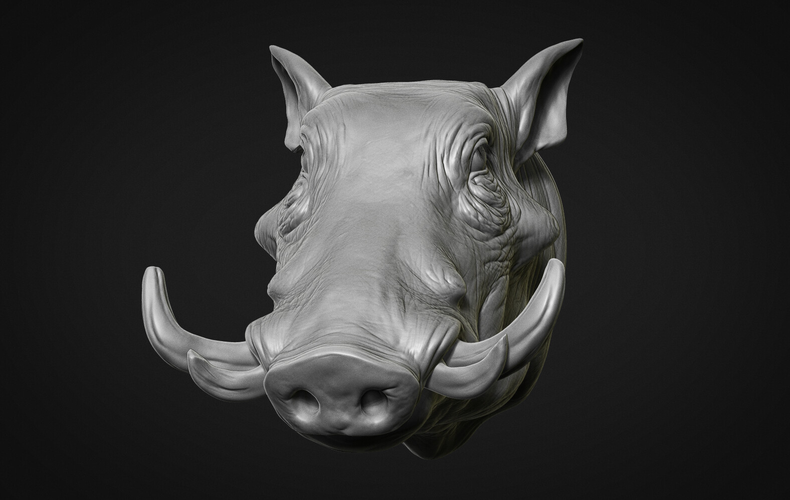 ArtStation - Common African Warthog