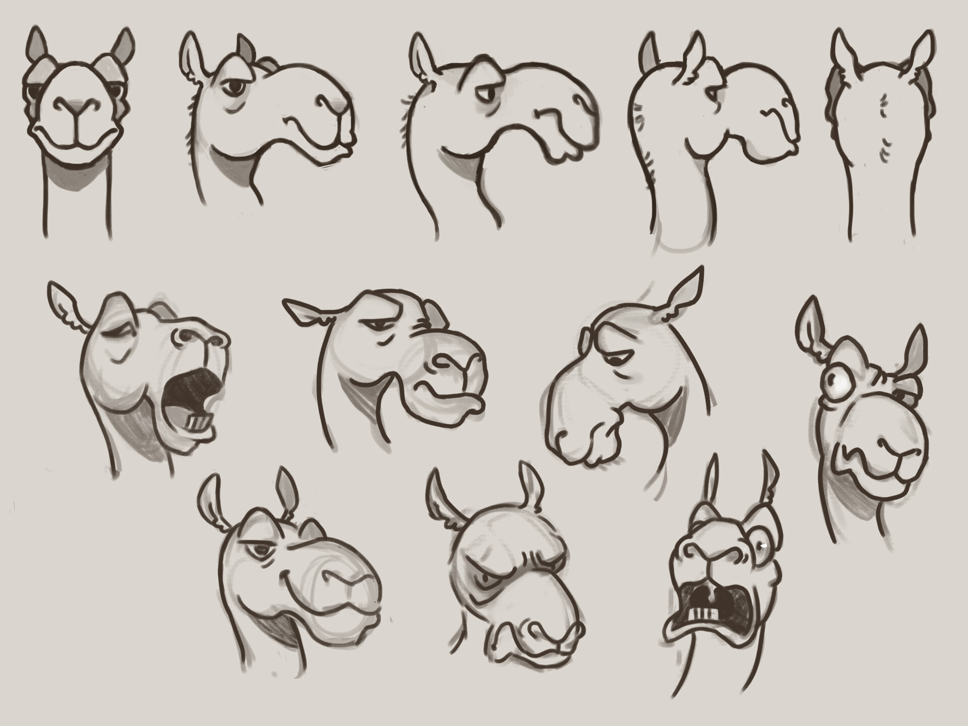 ArtStation - Camel character design