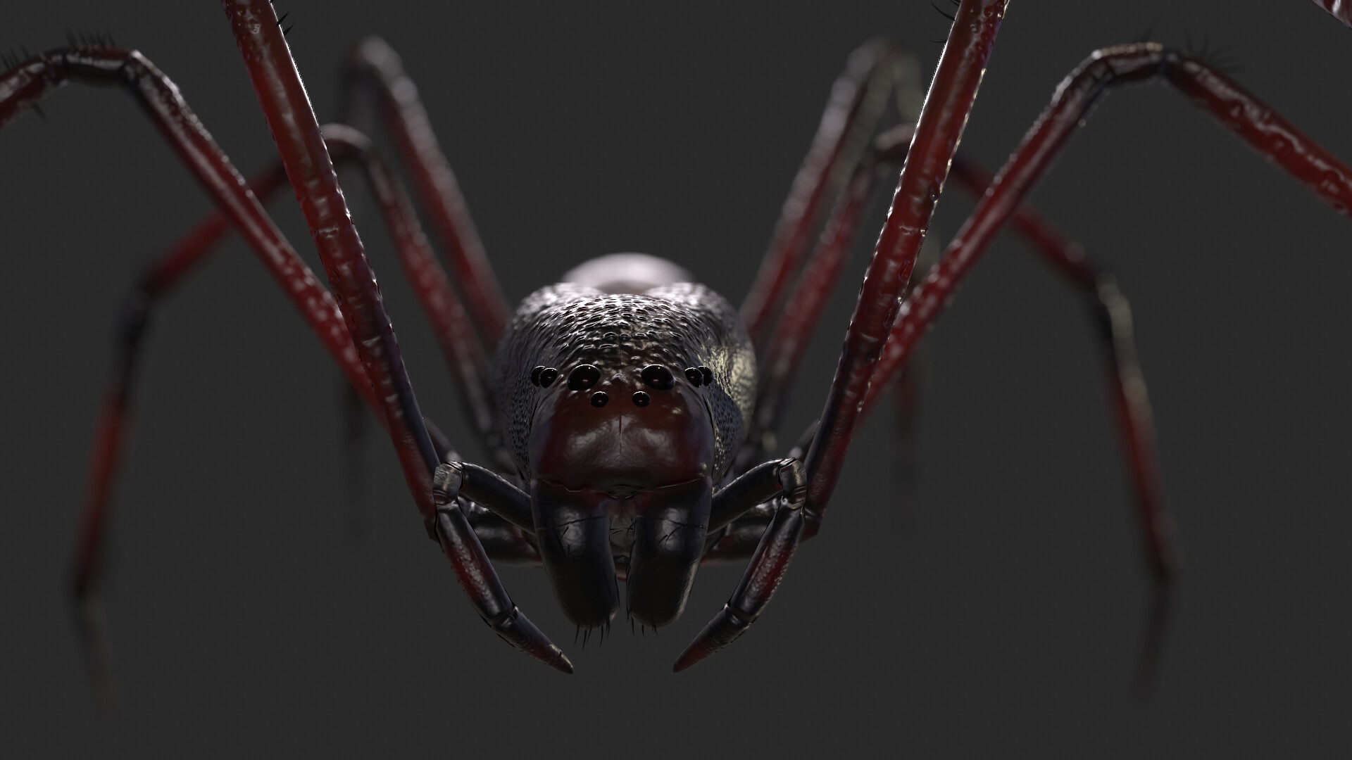 ArtStation - spider 3d model