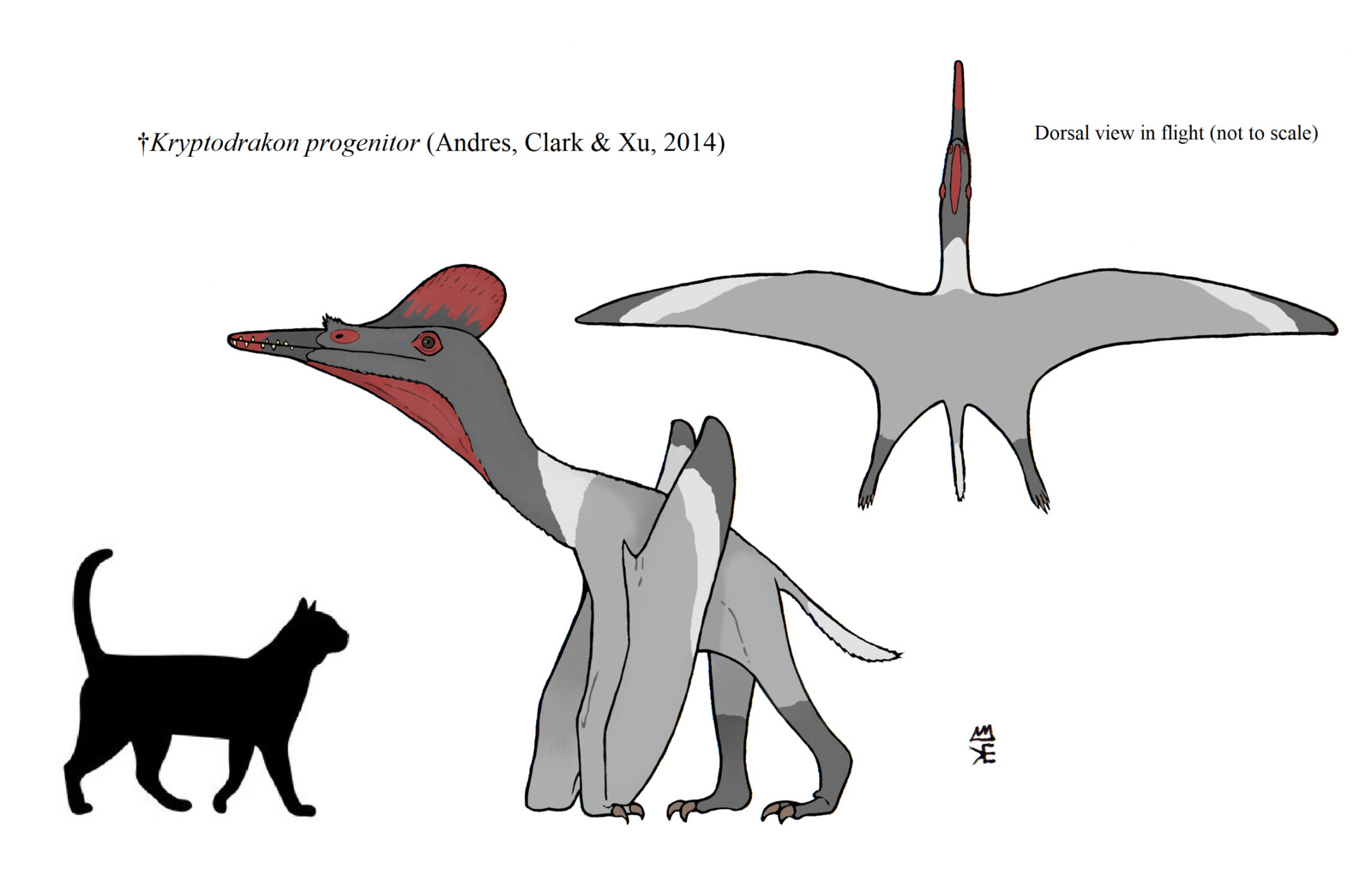 Thomas Sutton - Kryptodrakon progenitor