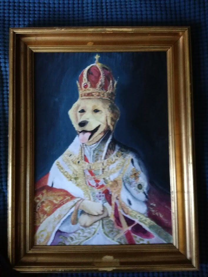 Adam Jespersen - Royal retriever