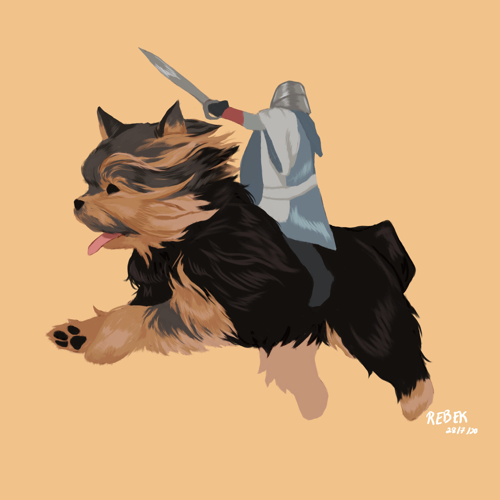ArtStation - Knight yorkie