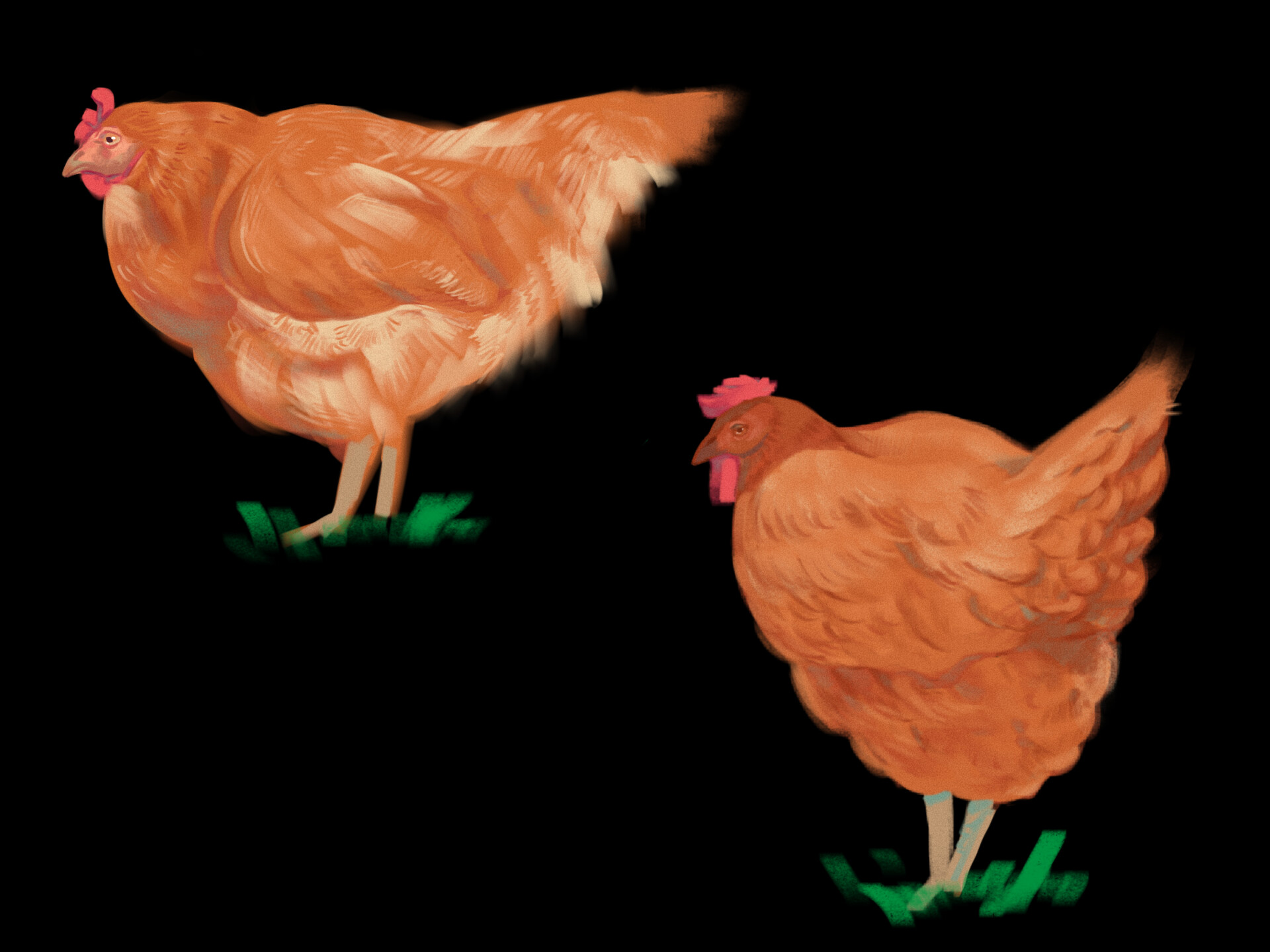 ArtStation - Chicken