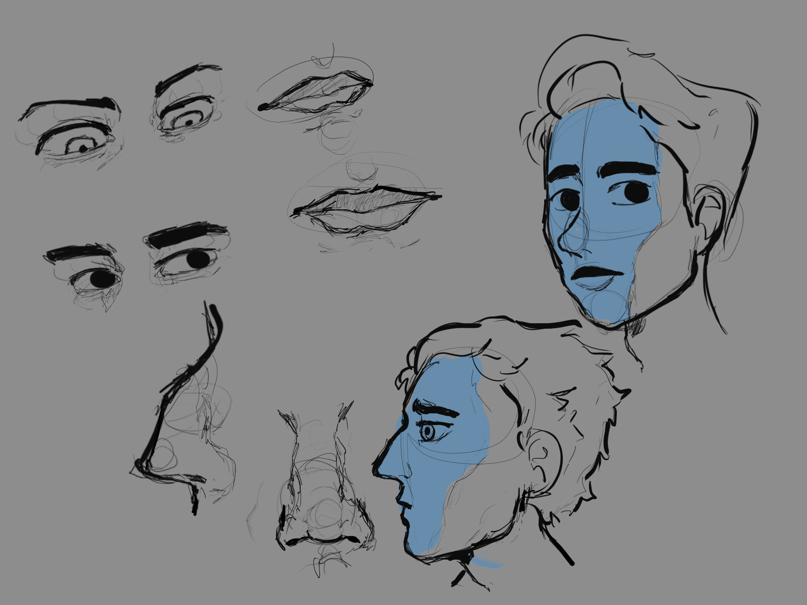 ArtStation - Estudio Práctico de Anatomía en Modelo: Facciones del Rostro