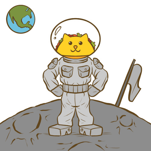 Taco Cat Astronaut