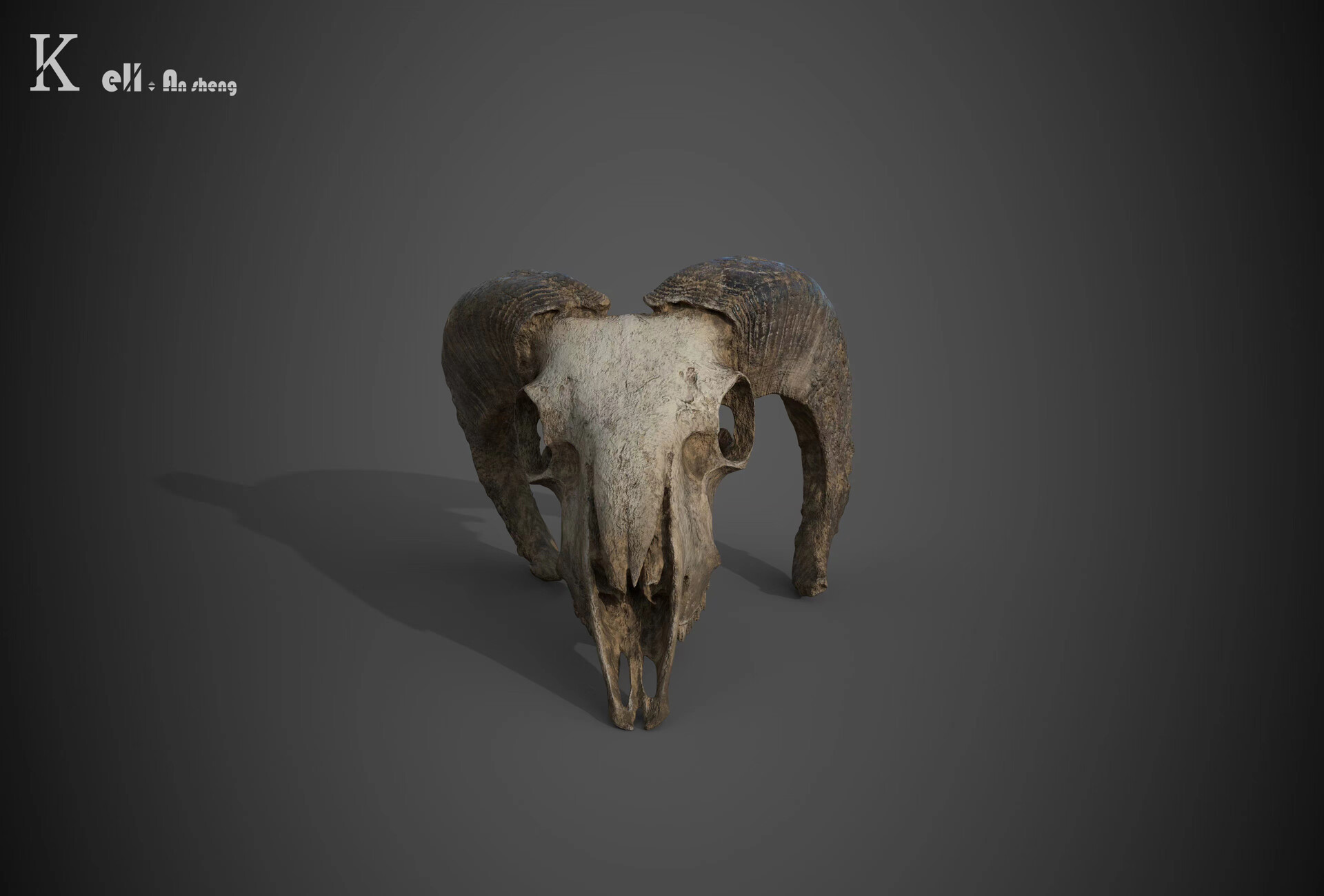ArtStation - Sheep Skull