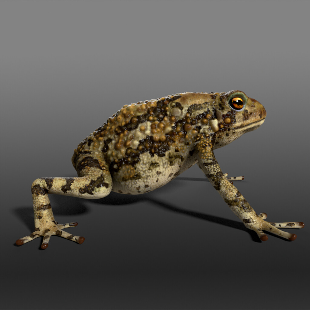 ArtStation - Toad texture