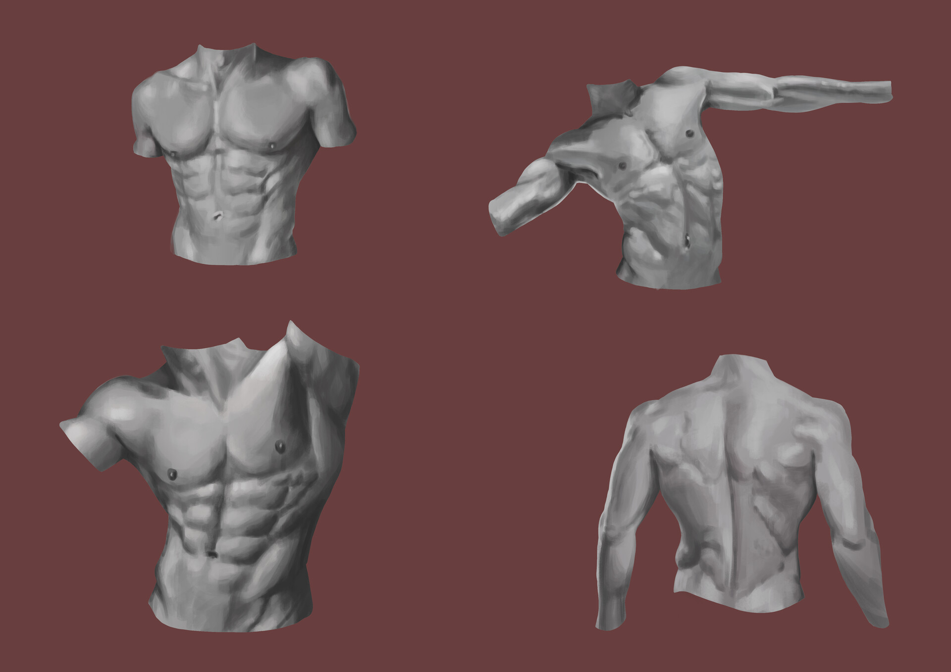 ArtStation - Anatomy studies