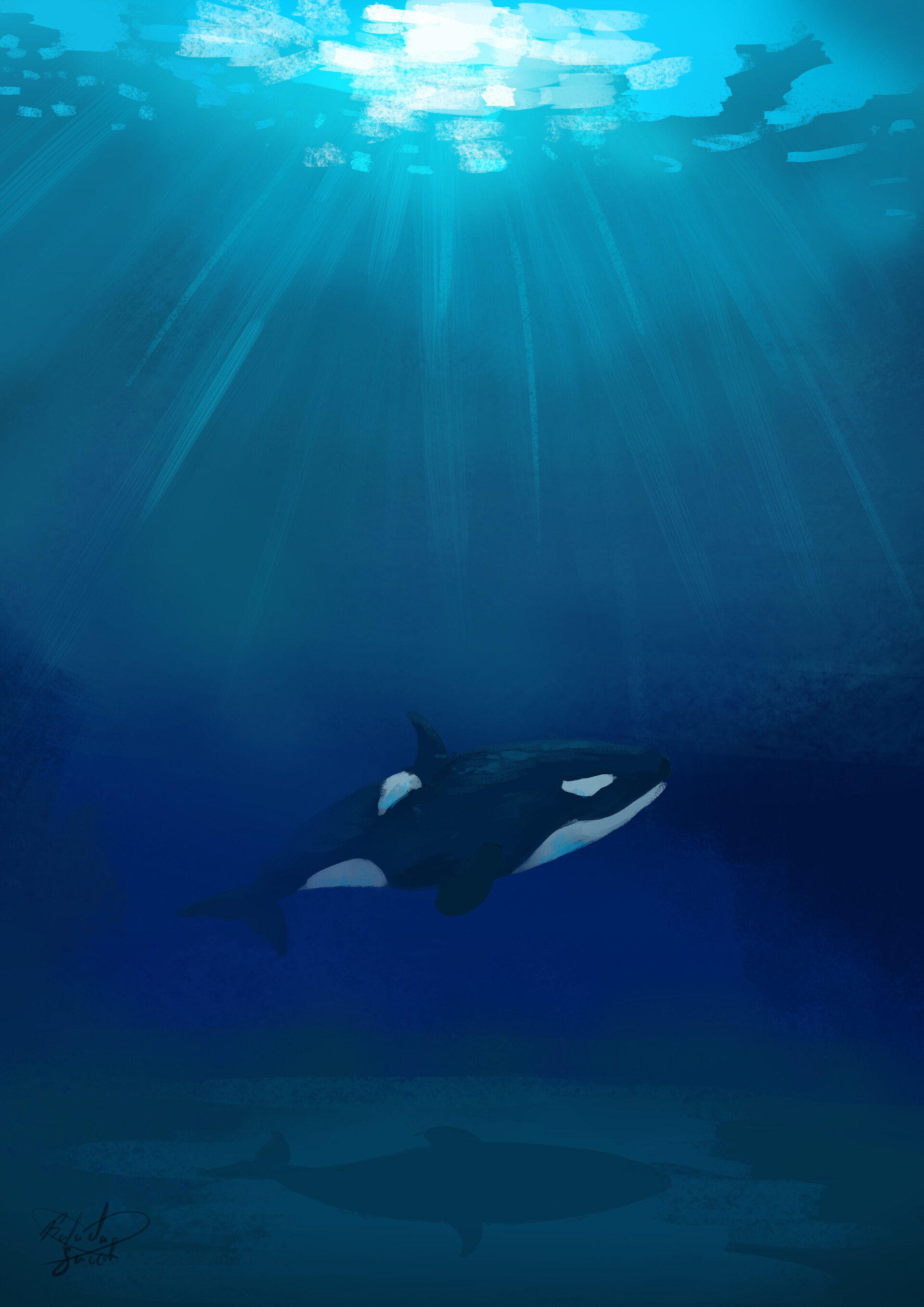 ArtStation - Whale