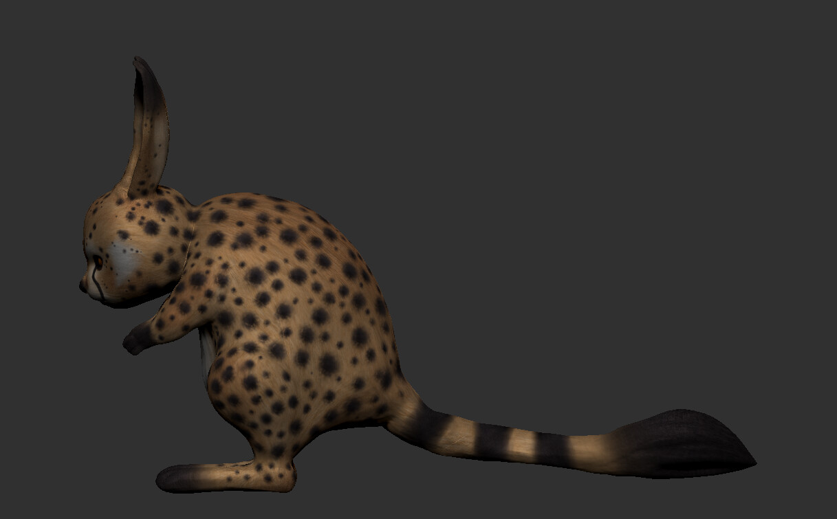 Fiona Beale - 3D Model- Chimera