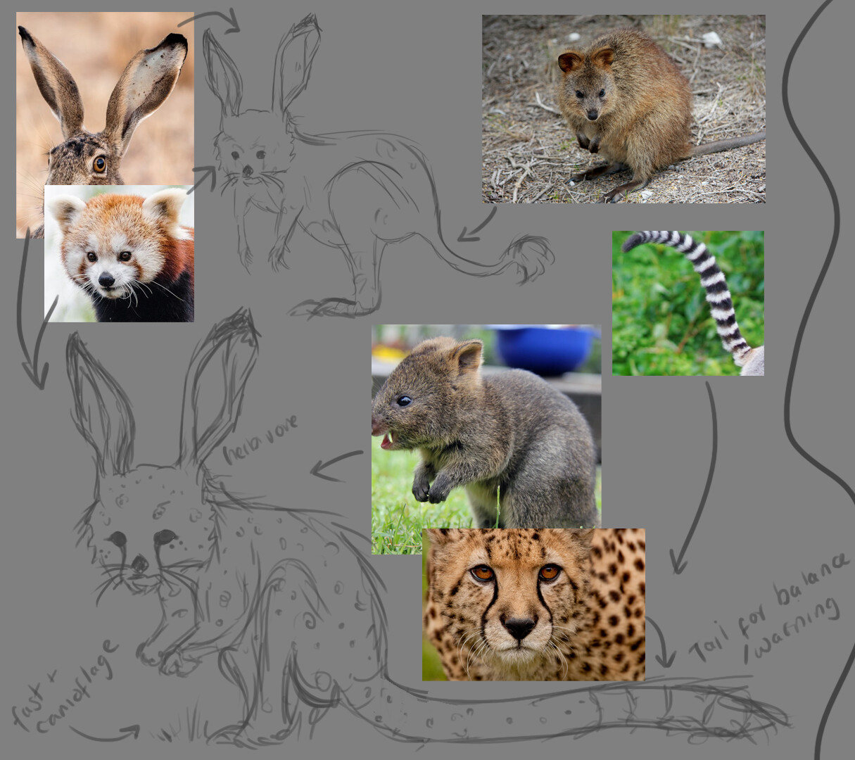 Fiona Beale - 3D Model- Chimera