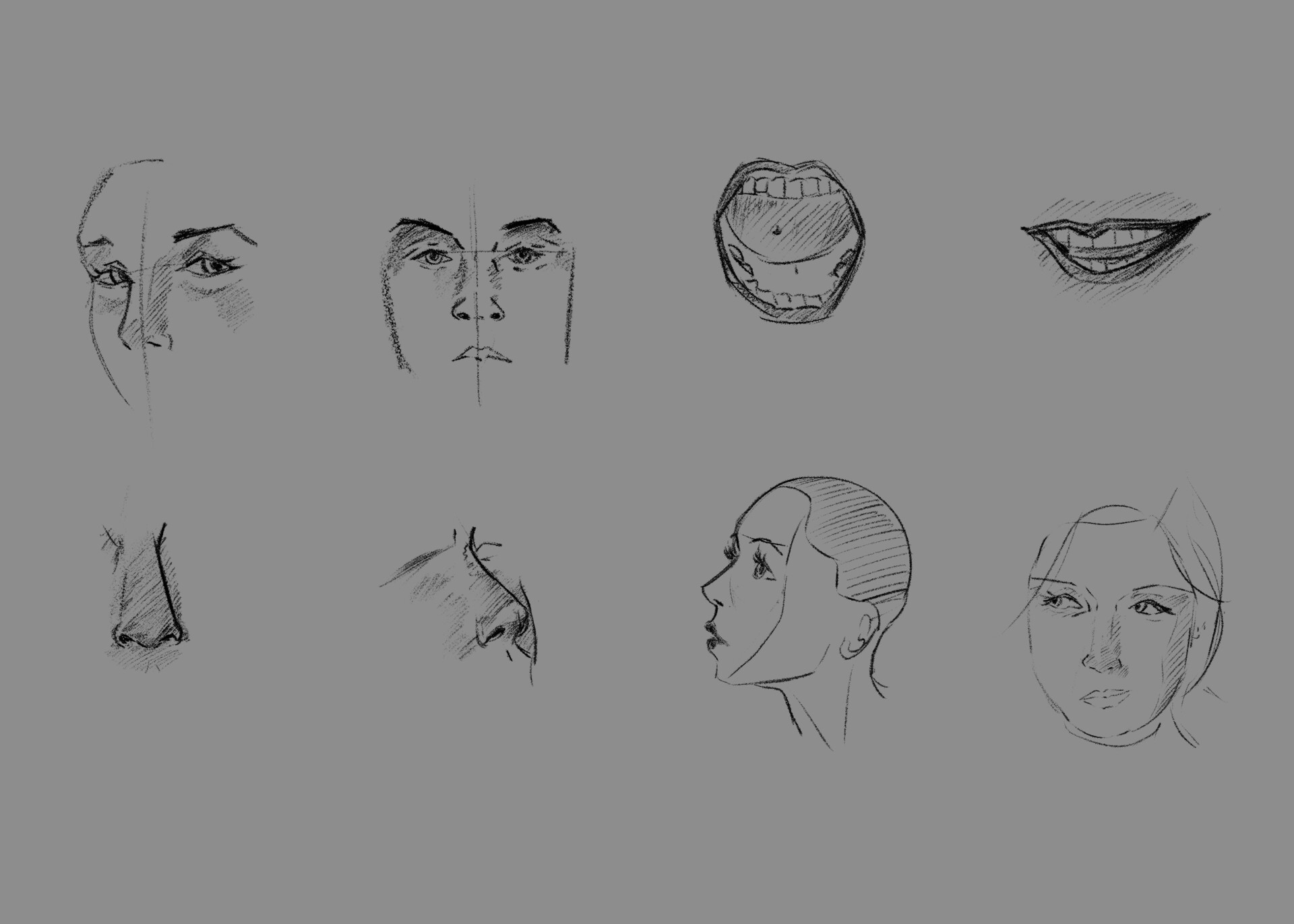 ArtStation - Practical Study of Anatomy in Model: Face Features