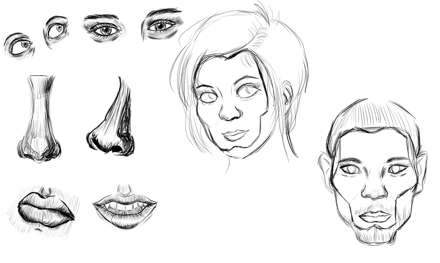 ArtStation - 12 Estudio Práctico de Anatomía en Modelo: Facciones del ...