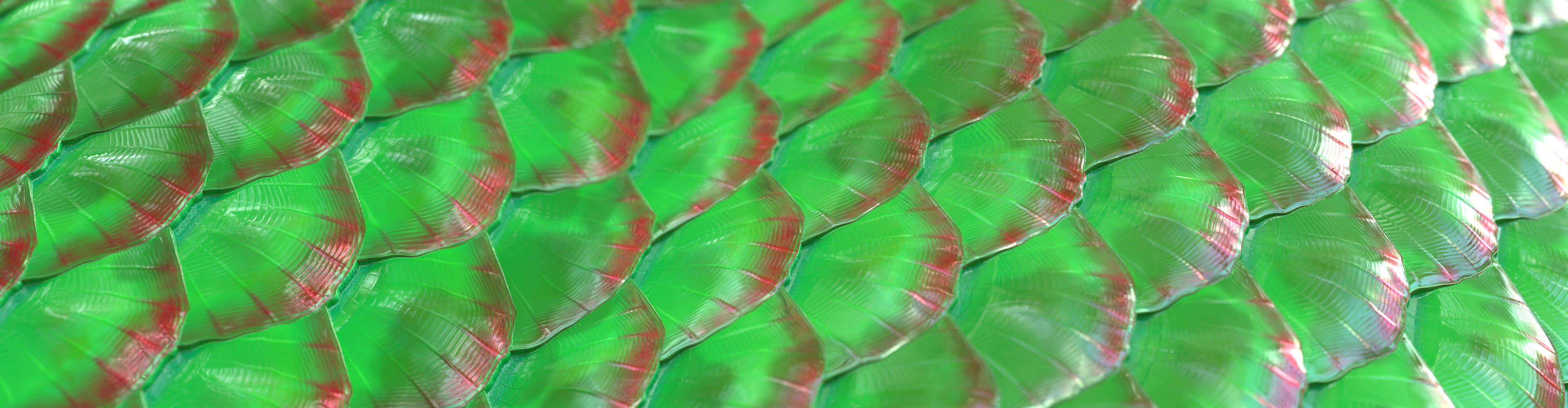 Céline Dameron - Fish scale material