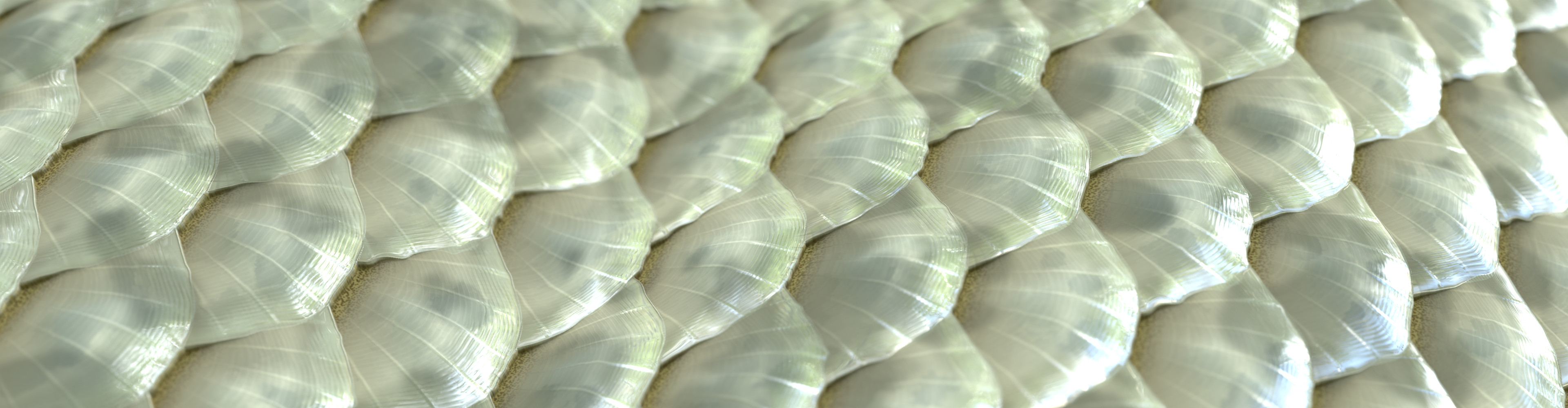 Céline Dameron - Fish scale material