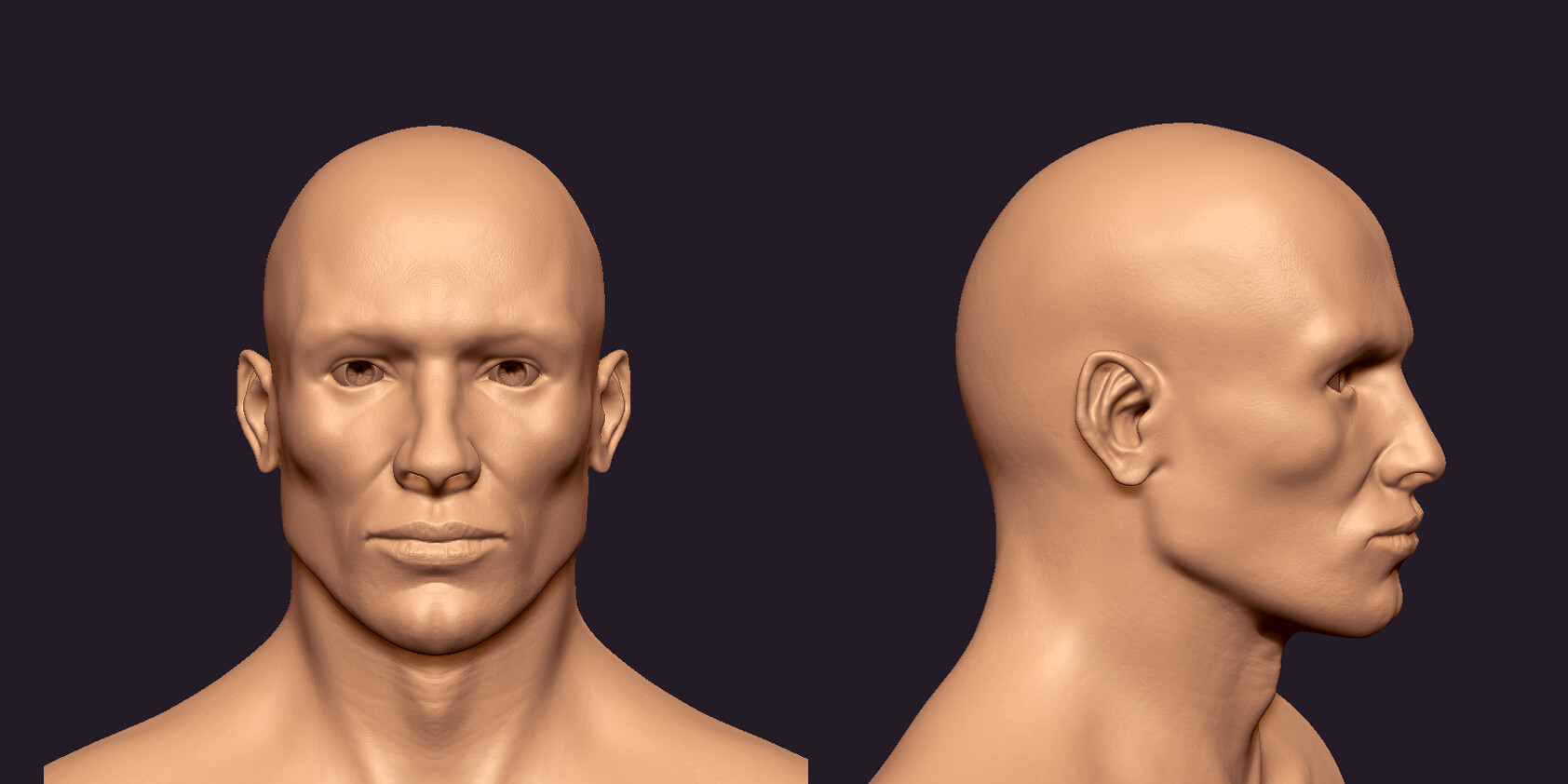 Male Face Reference For 3d