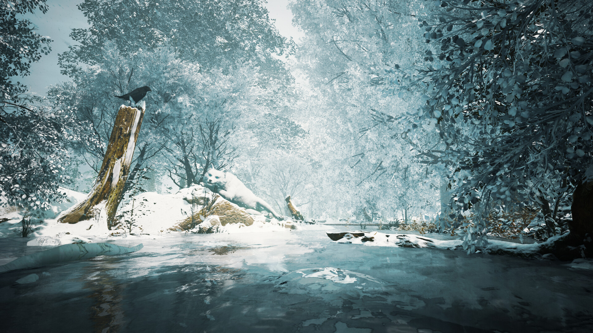 anime winter forest background