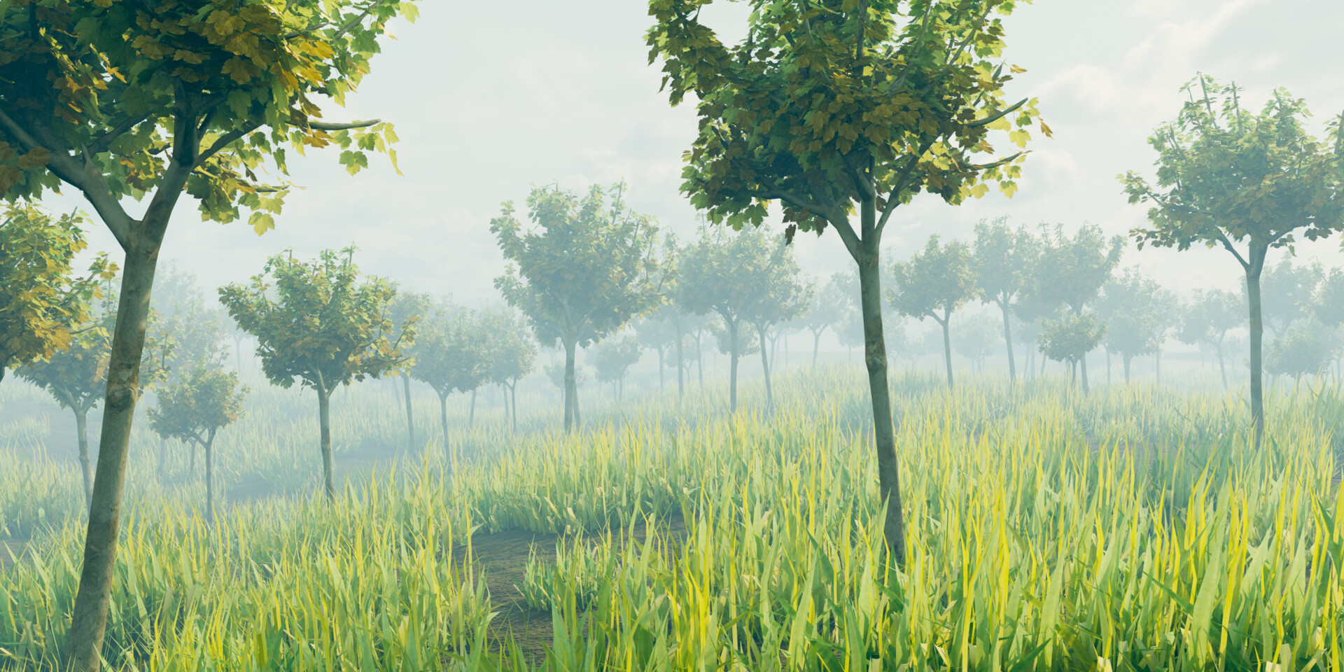 ArtStation - Simple Atmospheric Forest Scene 🌳🌵