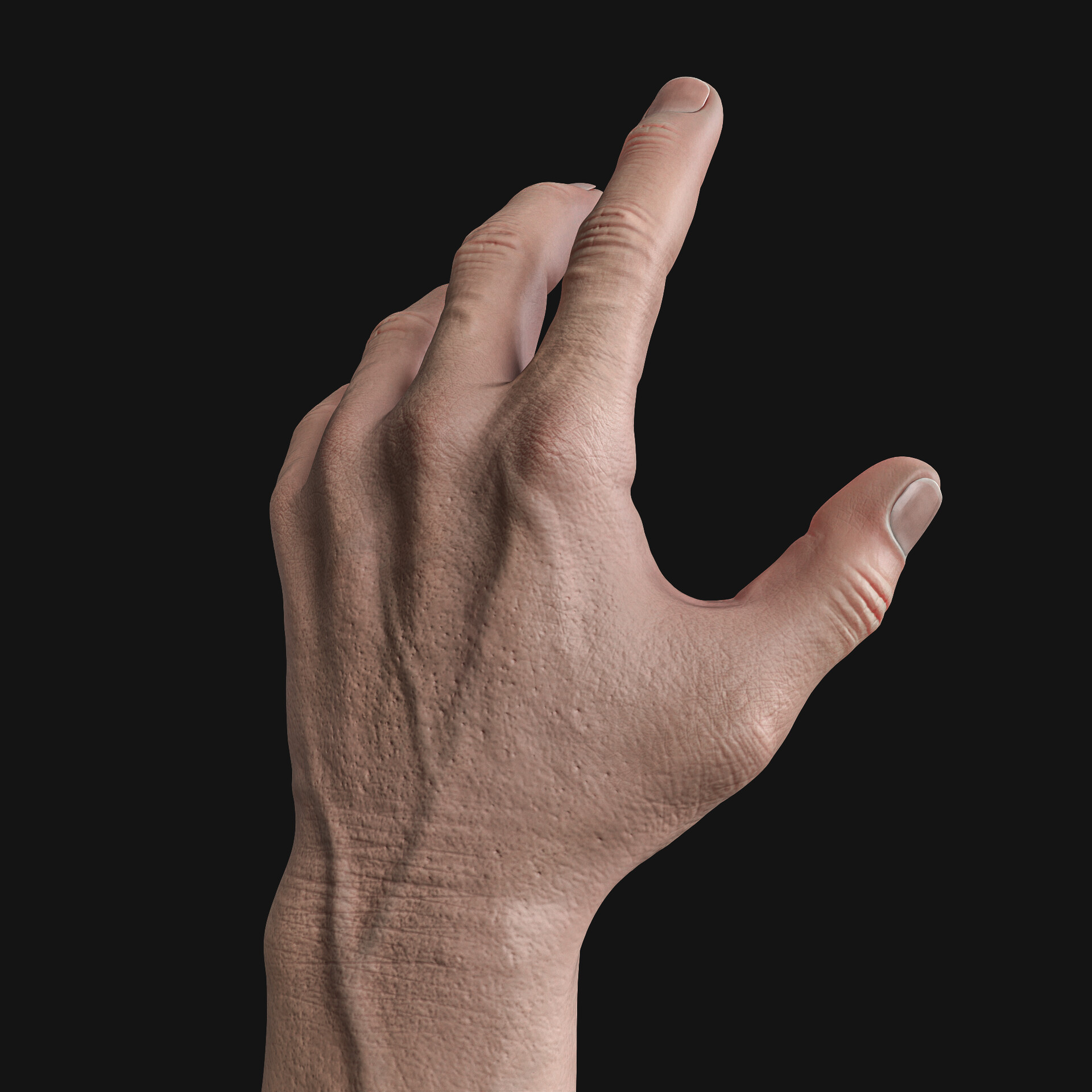 Gagik Zakaryan - Human Hand