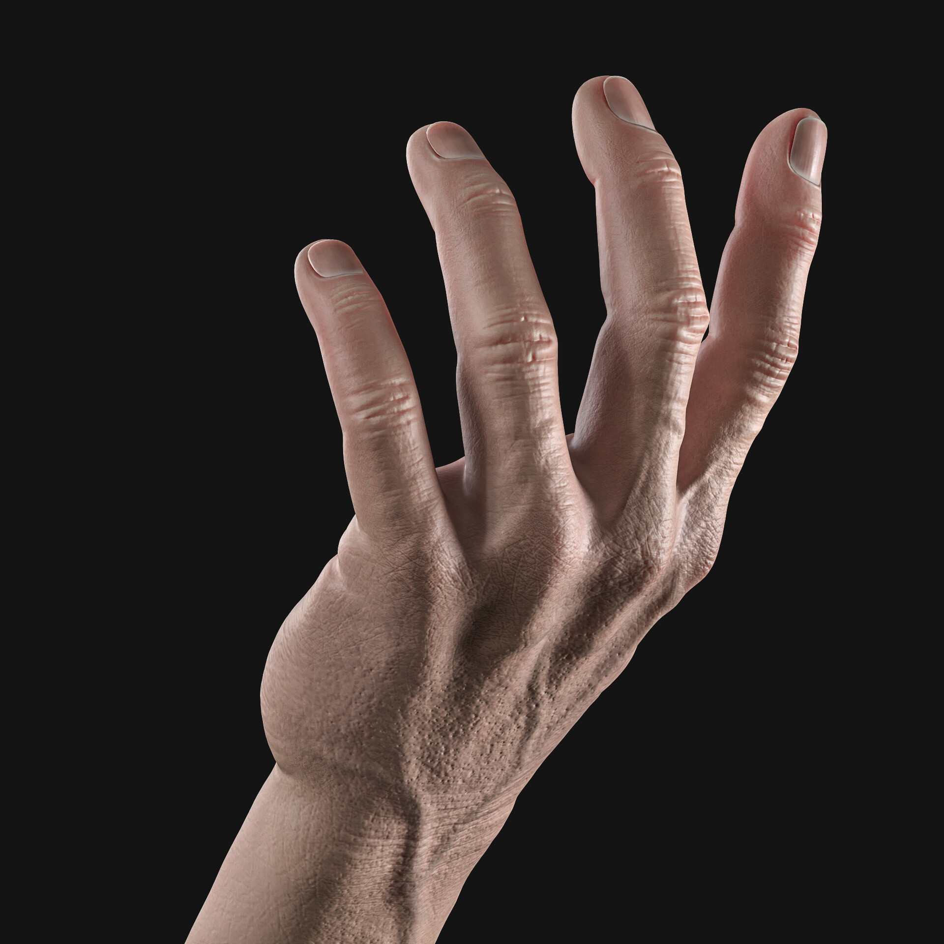 Gagik Zakaryan - Human Hand