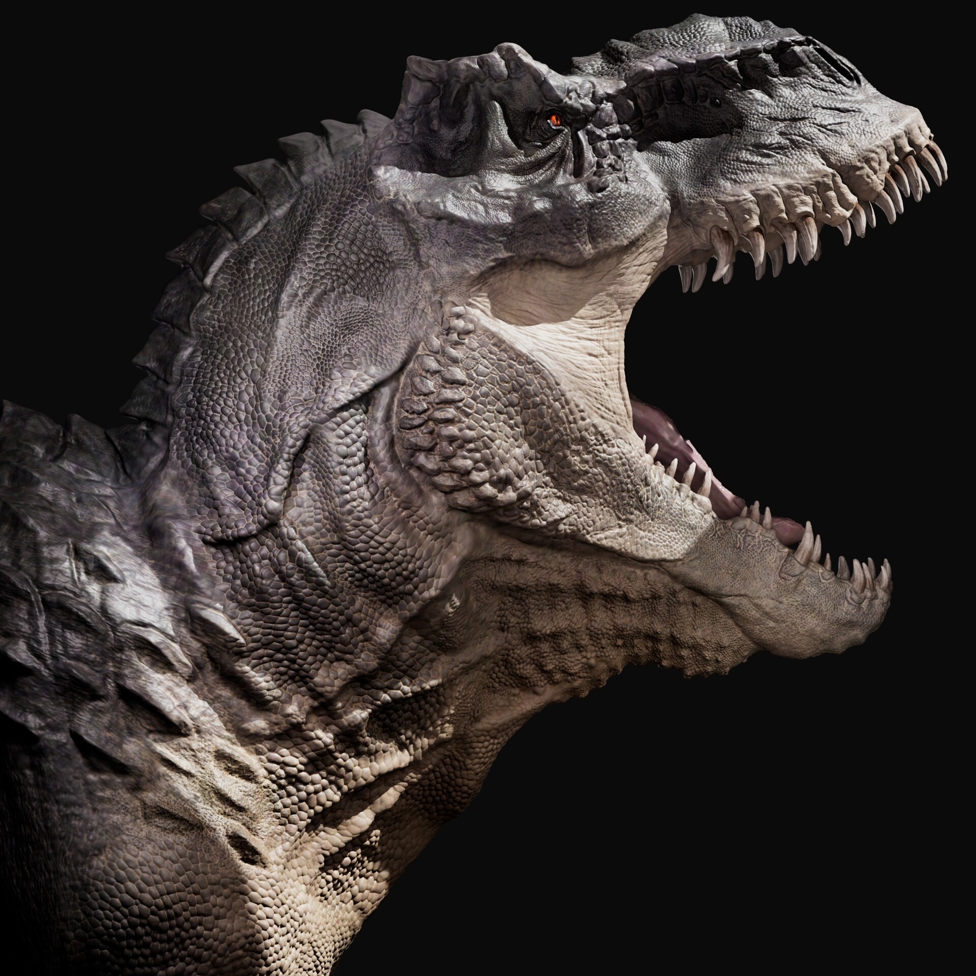 Pedro Oliveira - Rex Study