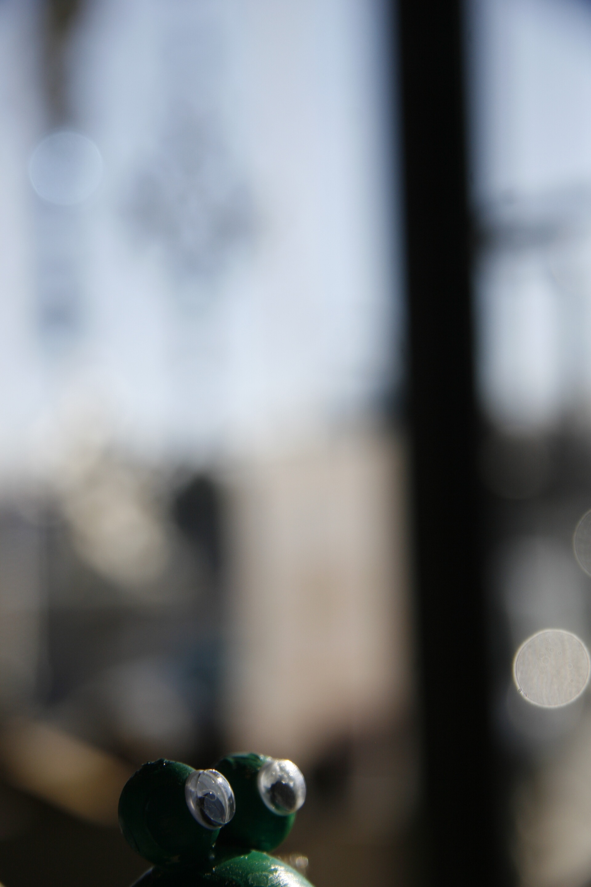 Anna Johnston - Study- Joy