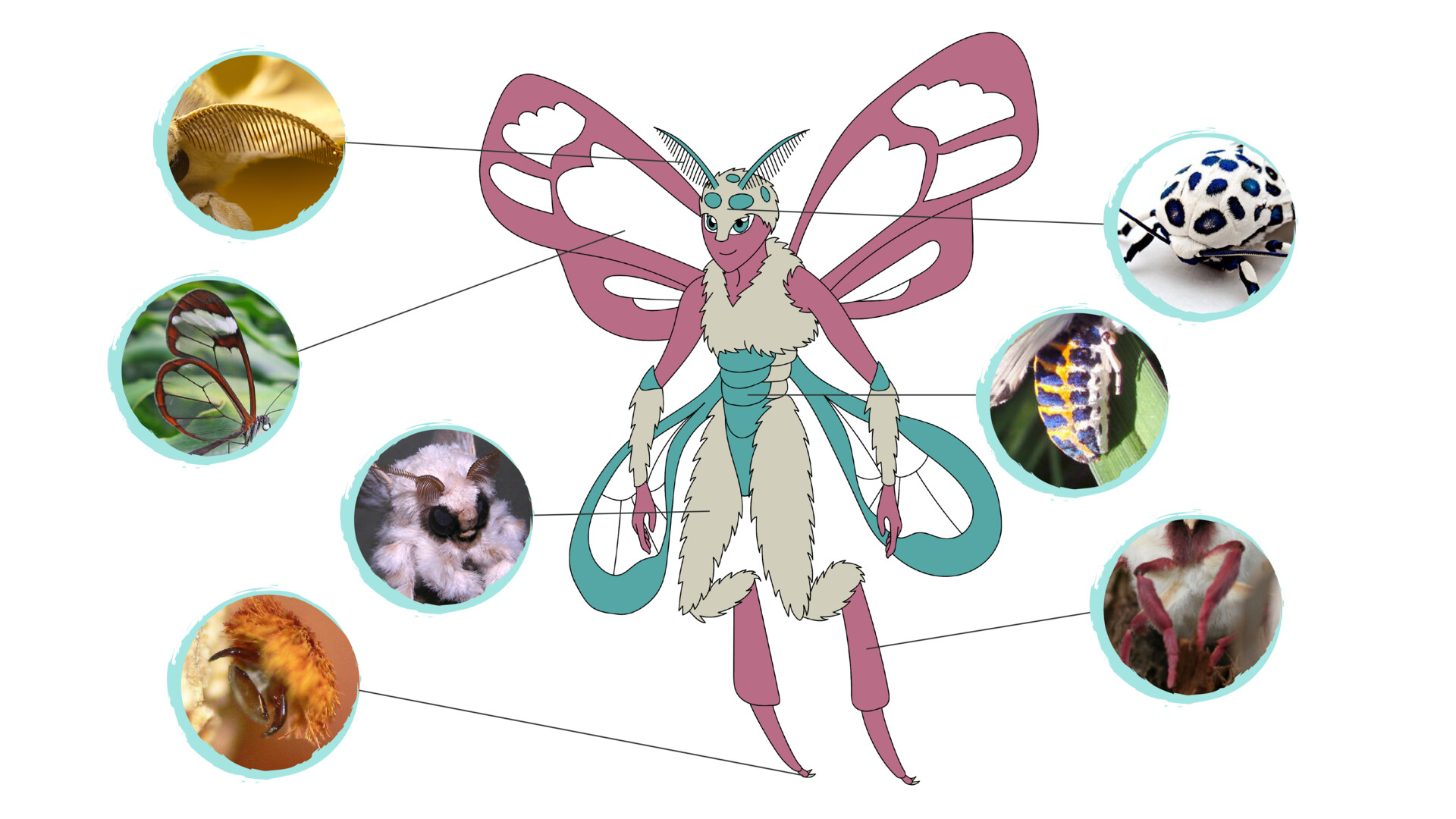 Ashley Pulliam - Lilieae