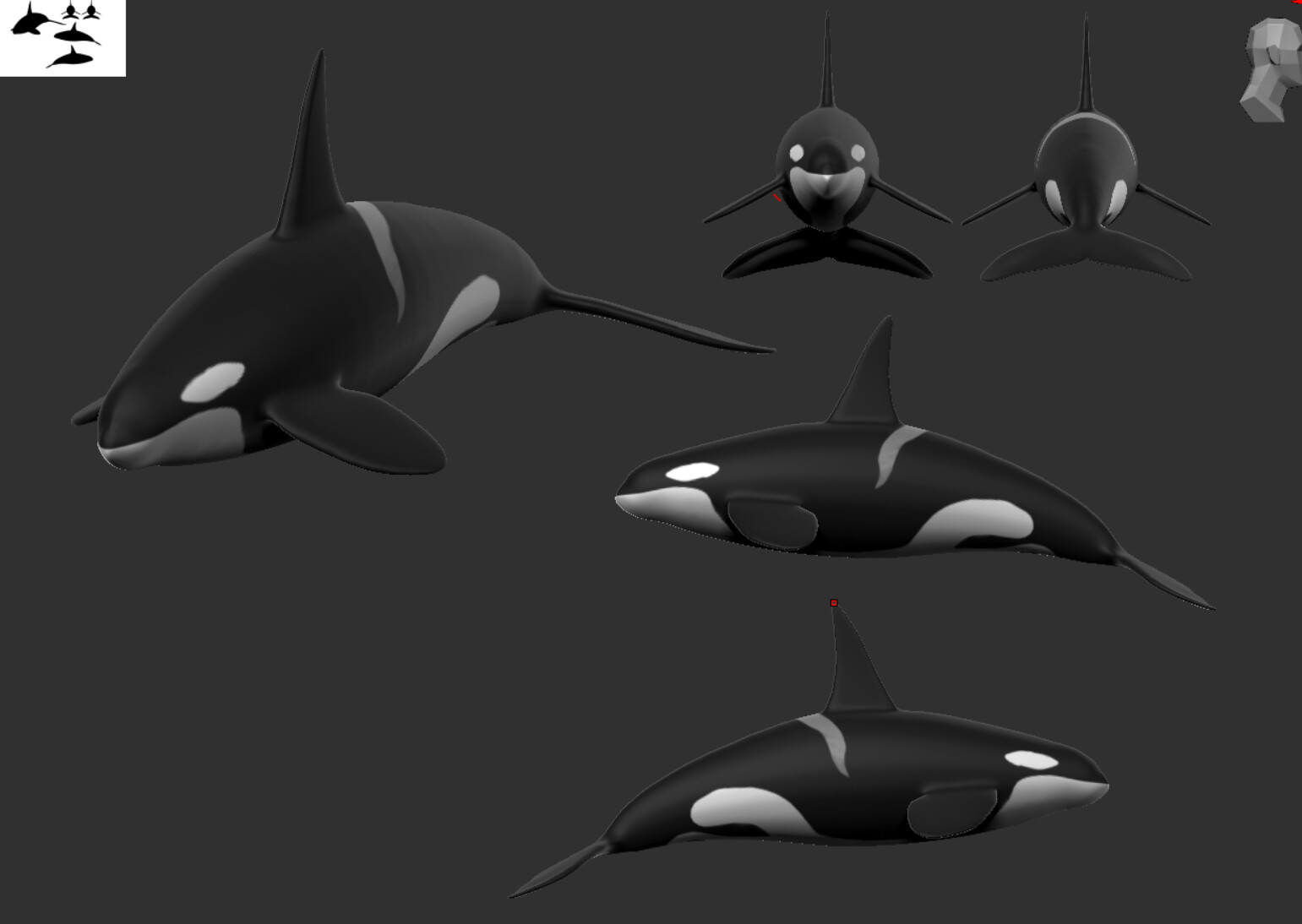 ArtStation - Organic Modeling Orca