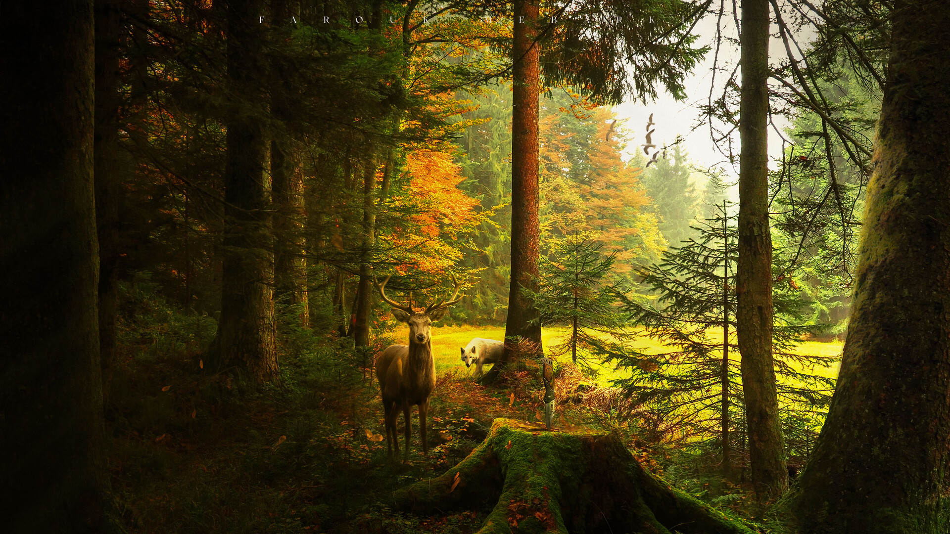 ArtStation - Jungle Manipulation