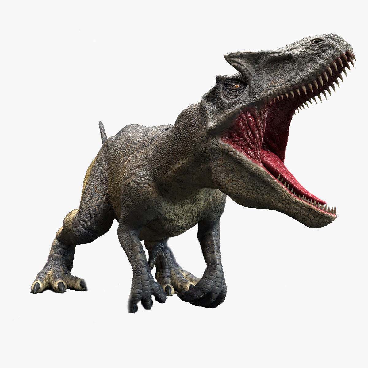 RACKSUZ / ramazan ozekici - Allosaurus Unreal Engine _ Unity ...