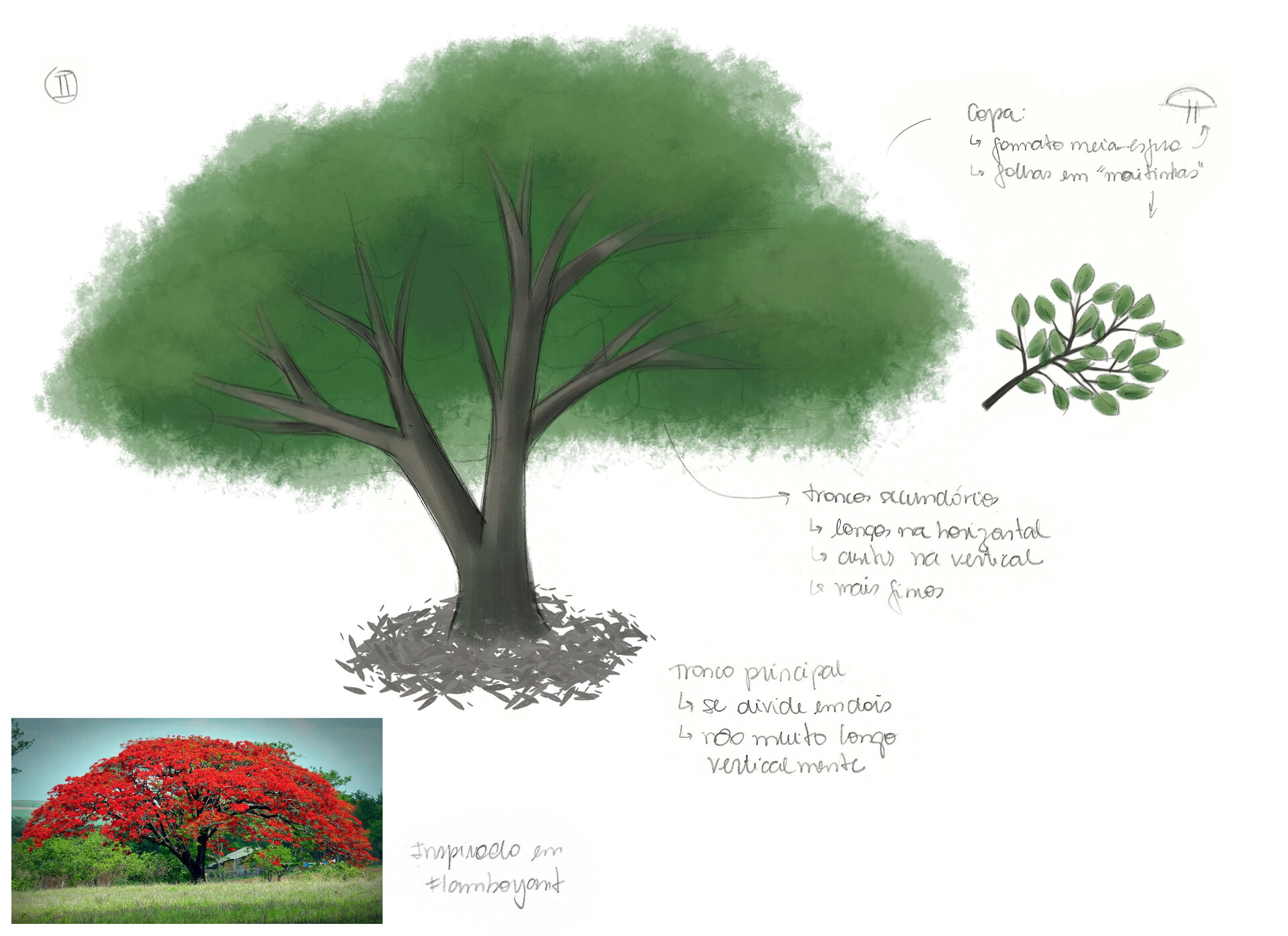 Caroline Lyssa Kuraoka - Ben & Buzz (TCC)