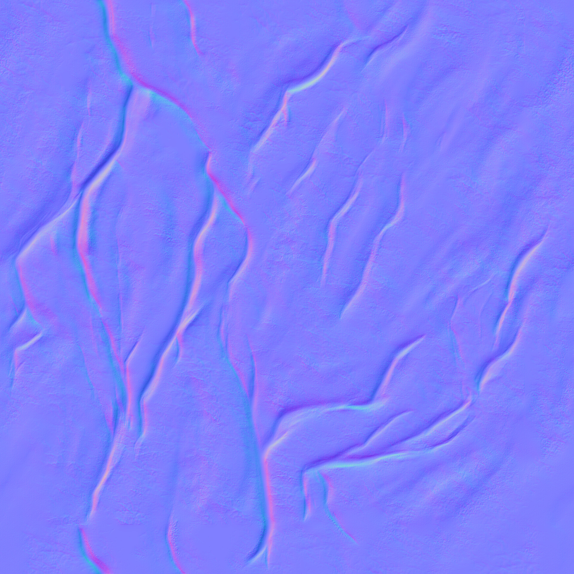 Caroline Lyssa Kuraoka - Ben & Buzz (TCC)