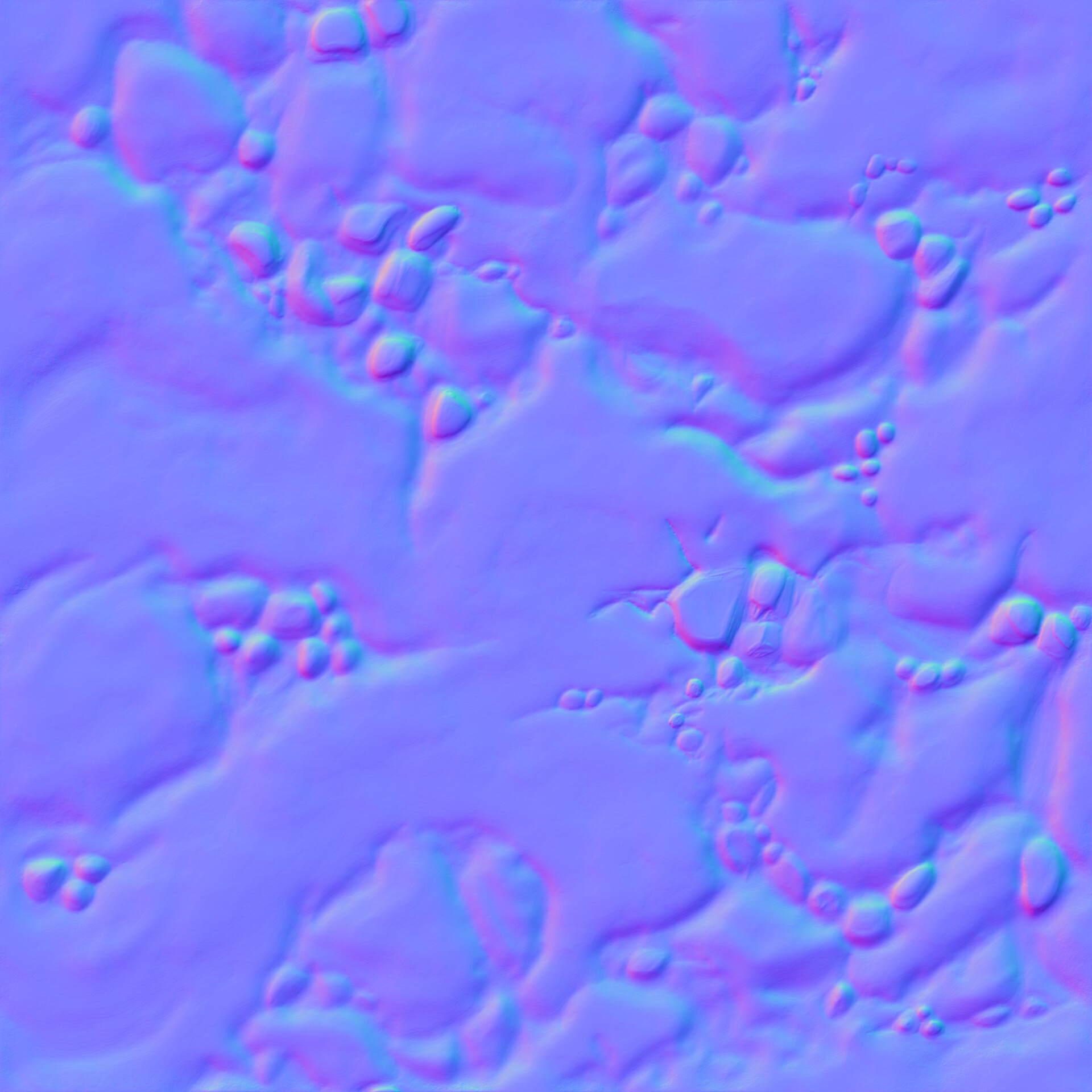 Caroline Lyssa Kuraoka - Ben & Buzz (TCC)