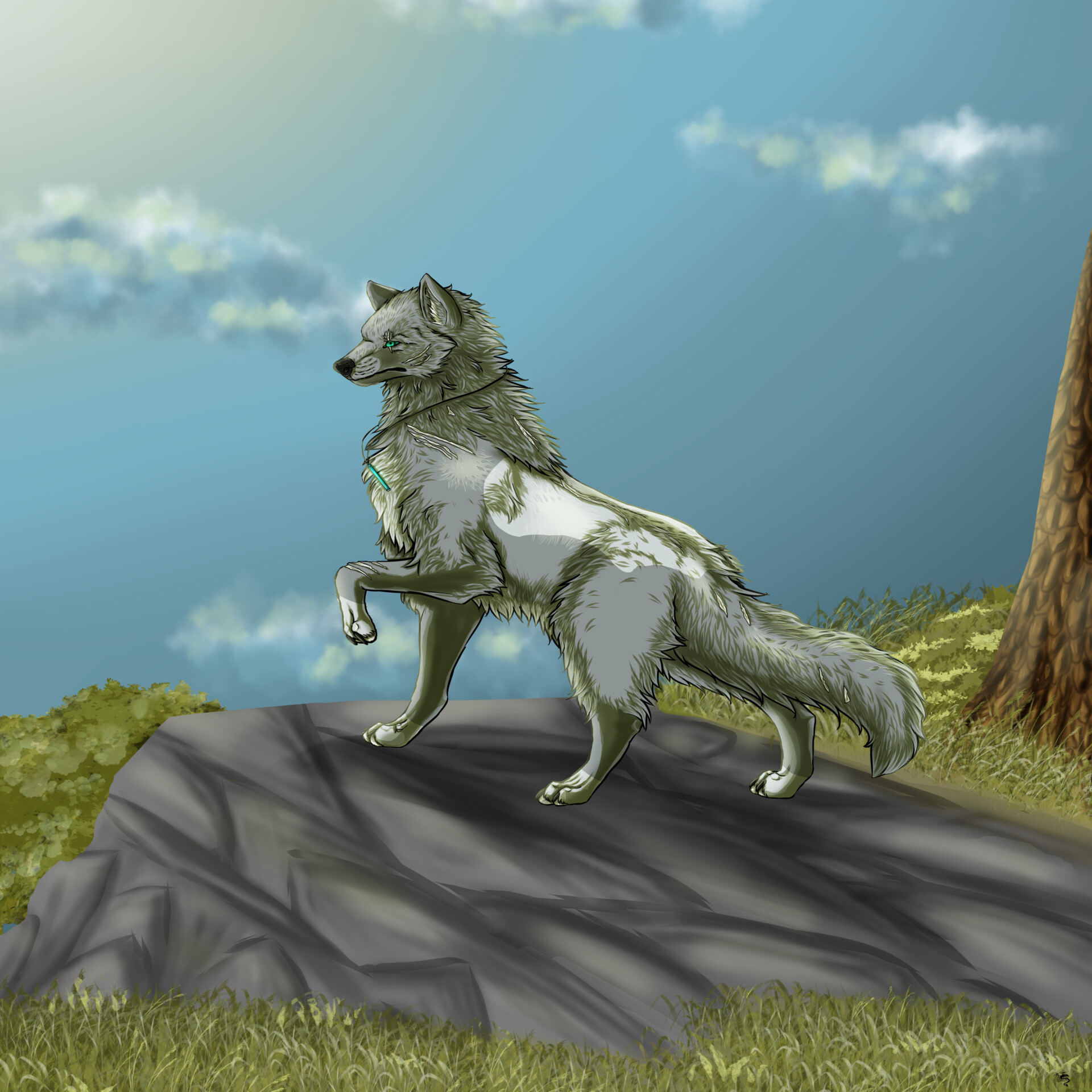 MidnightDragon Creations - Scars